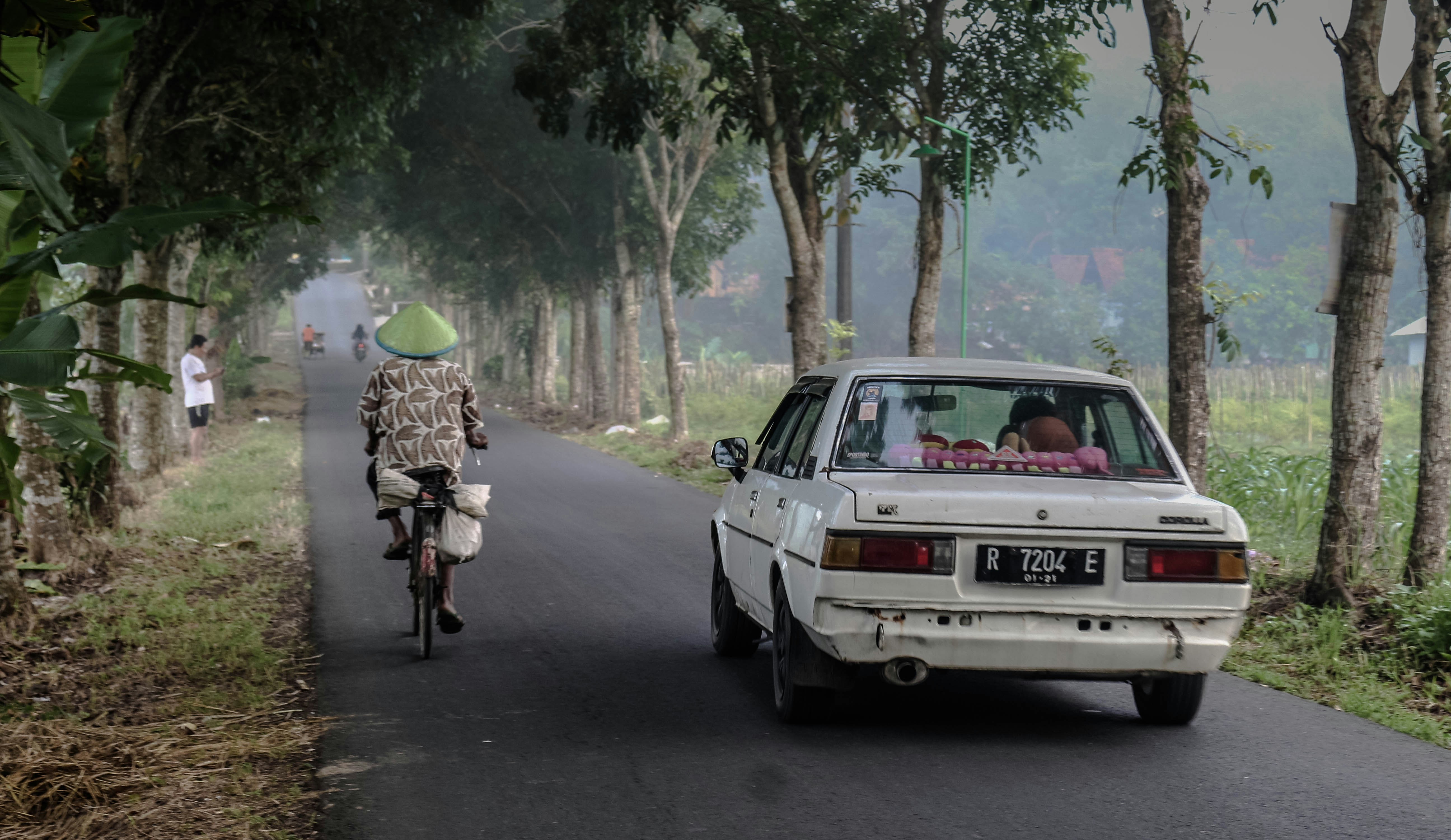 Quiet Convergence: A White Sedan Meets a Cyclist on a Tree-Lined Rural Road