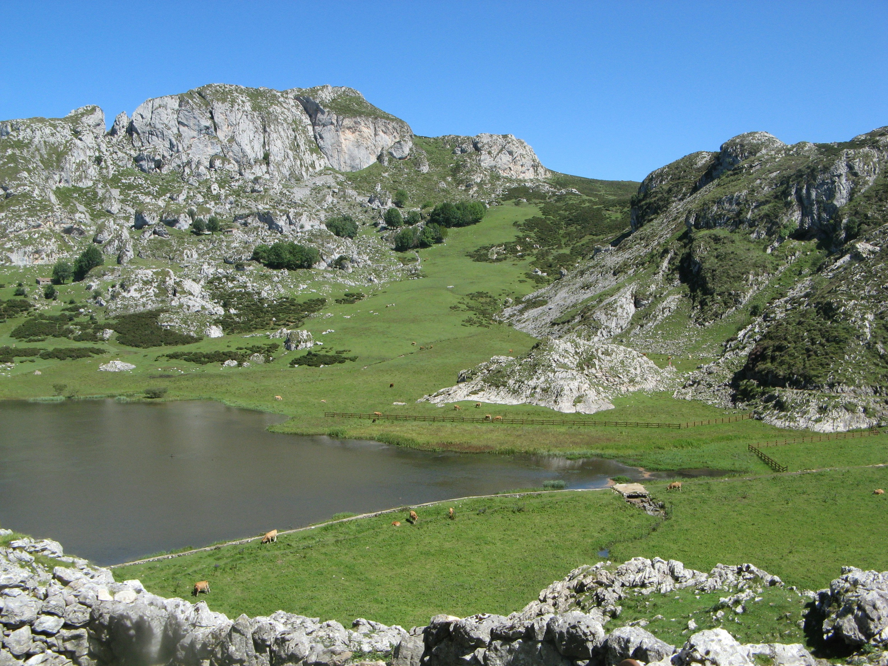 Green Valley Fold: Lake, Grass, and Limestone Ridge