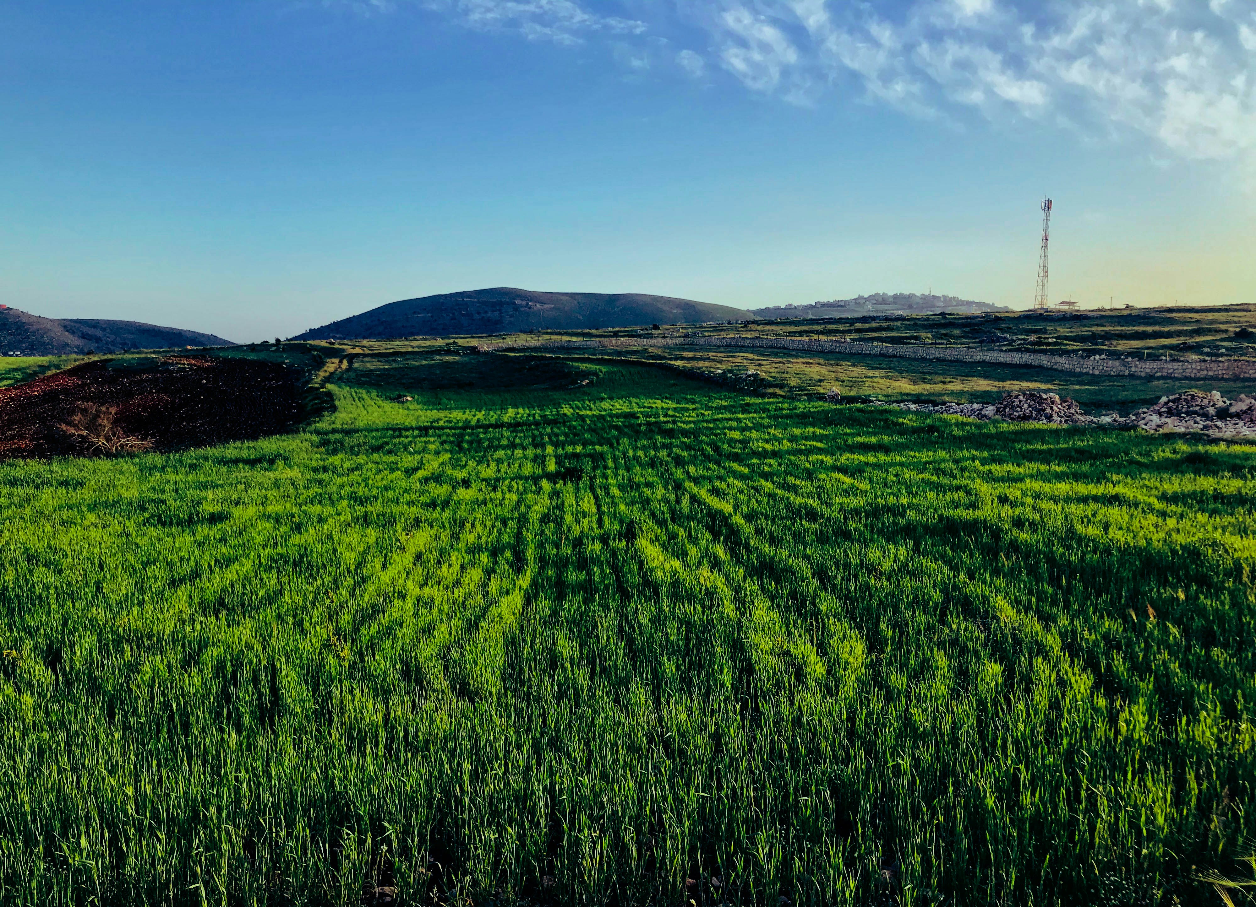 Green grass field under blue sky during daytime photo – Free South ...