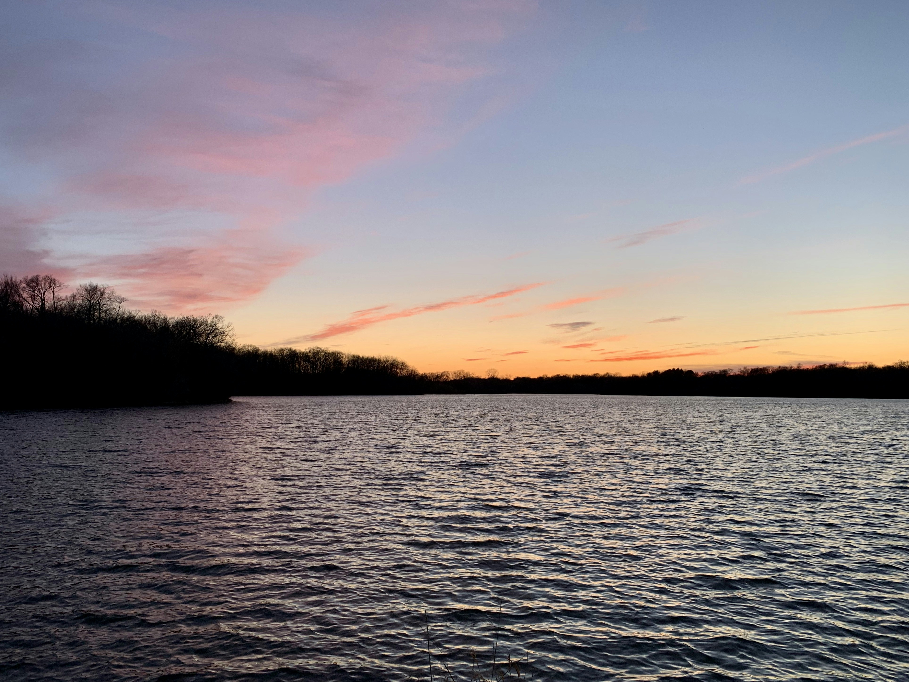 Max Isom (@codetheweb) | Communauté photos Unsplash