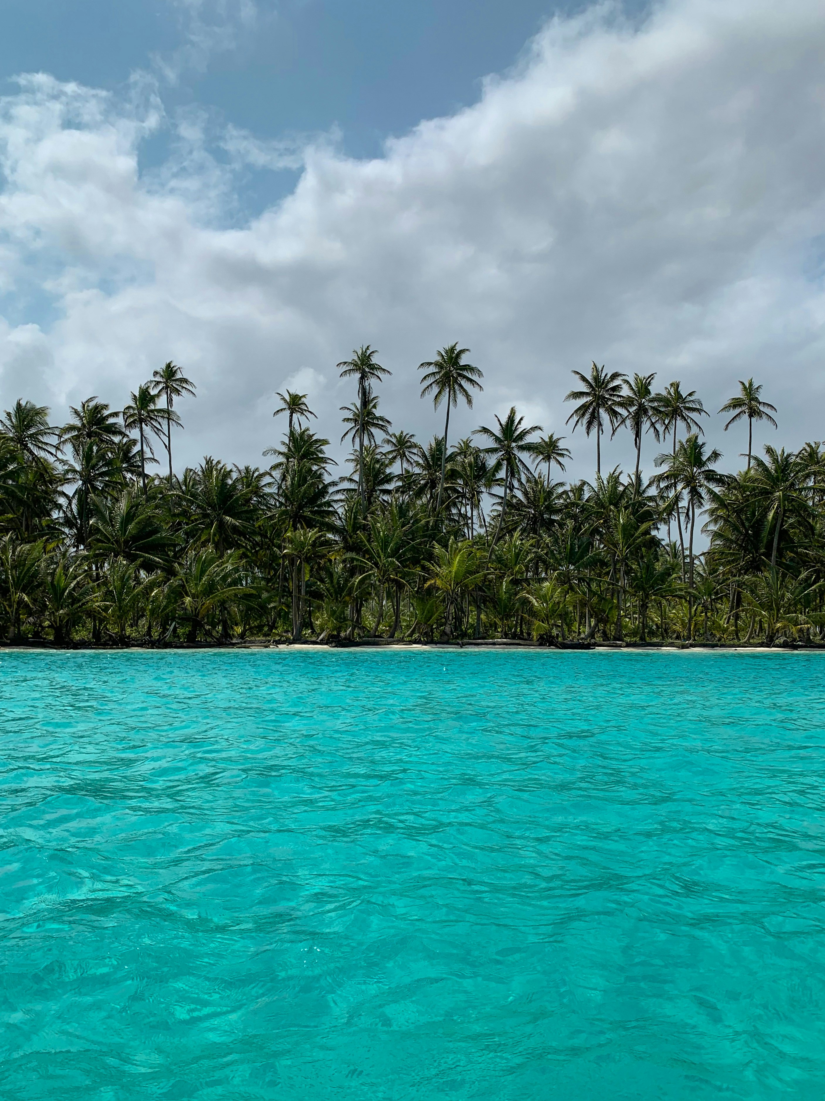 Vibrant turquoise waters meet a lush palm-fringed shoreline under a cloudy sky.