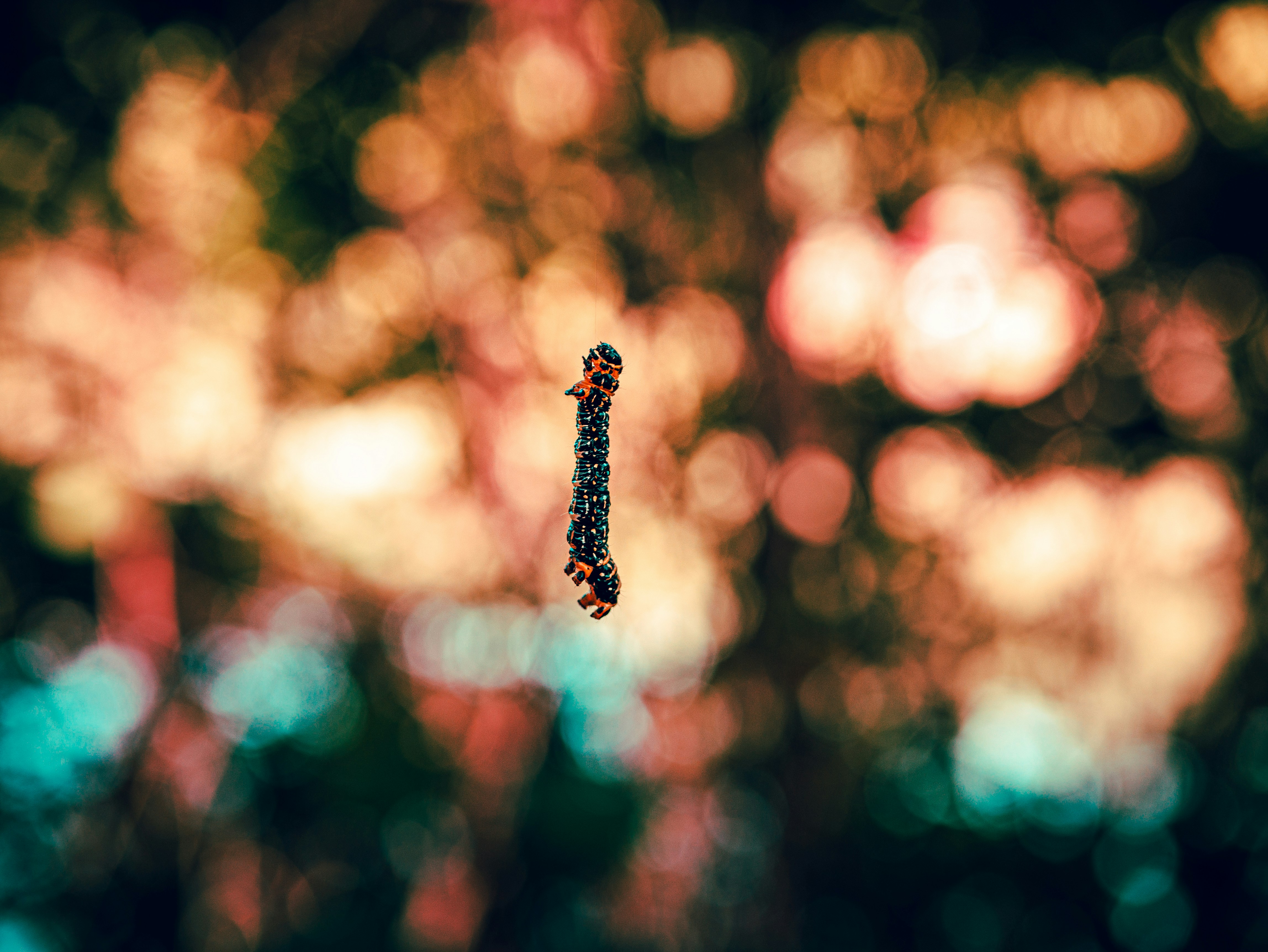 Suspended Caterpillar Glow: A Hazy Macro Portrait of a Tiny Creature