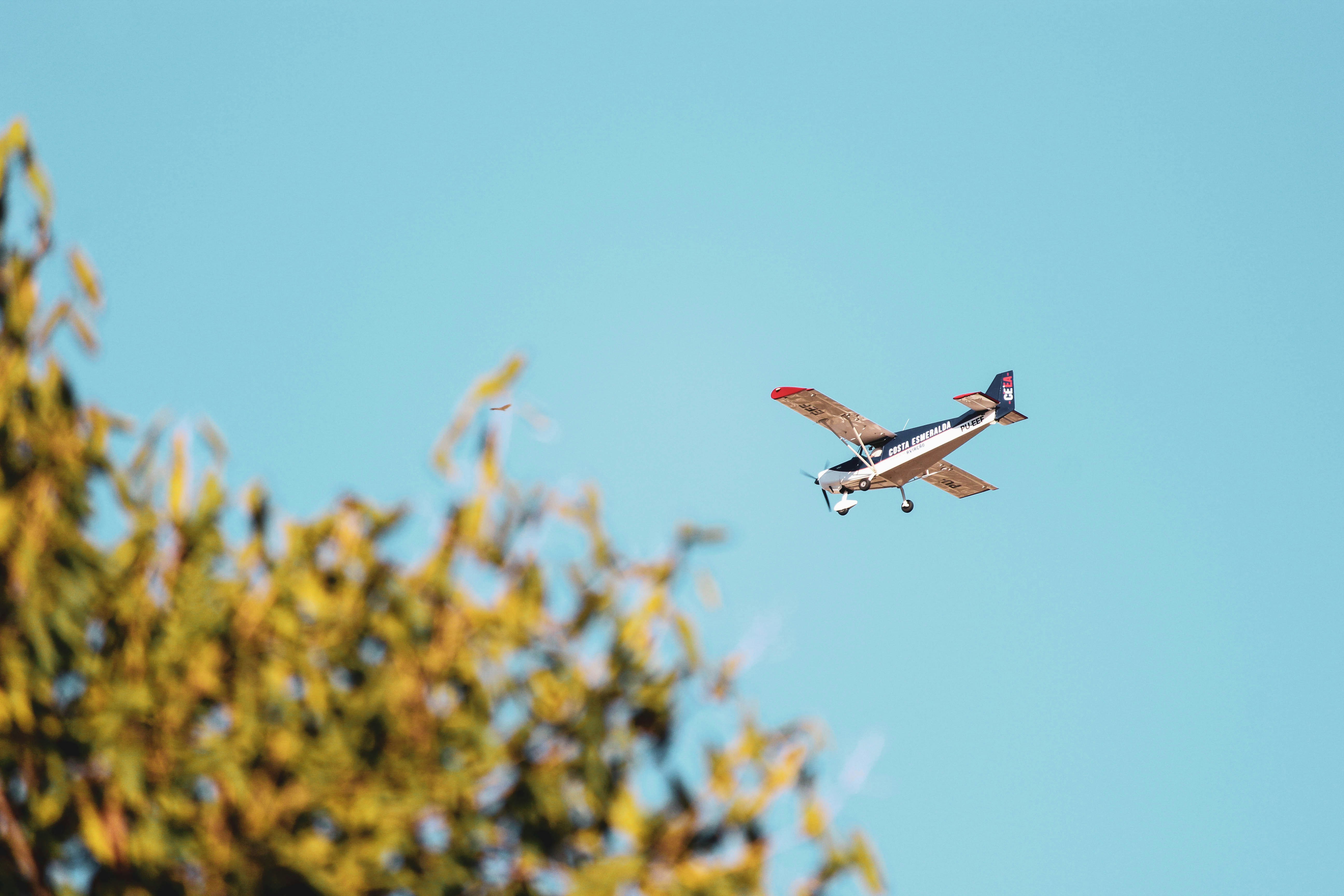 Tiny Plane, Big Sky: A Bright Flight Over Tree Tops