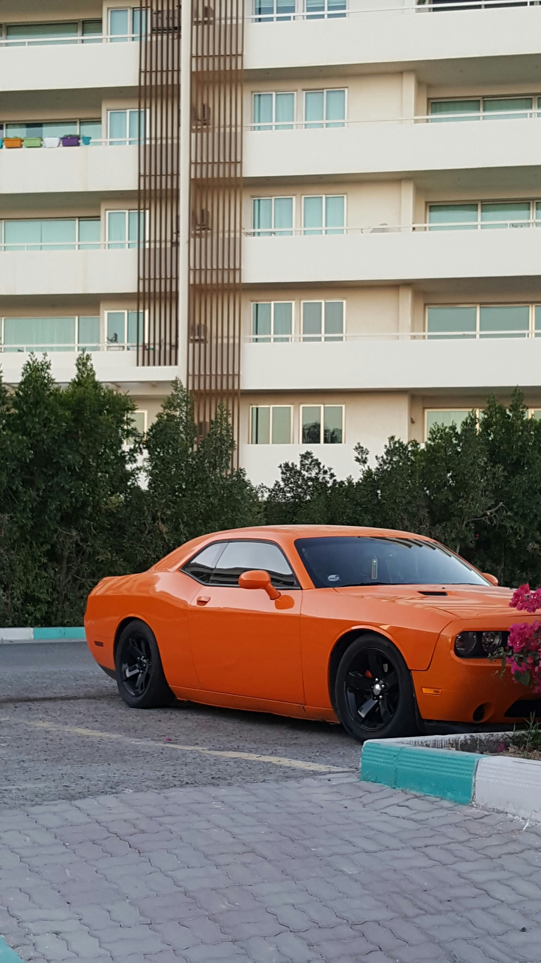 Red ferrari 458 italia parked near brown building photo – Free Iran ...