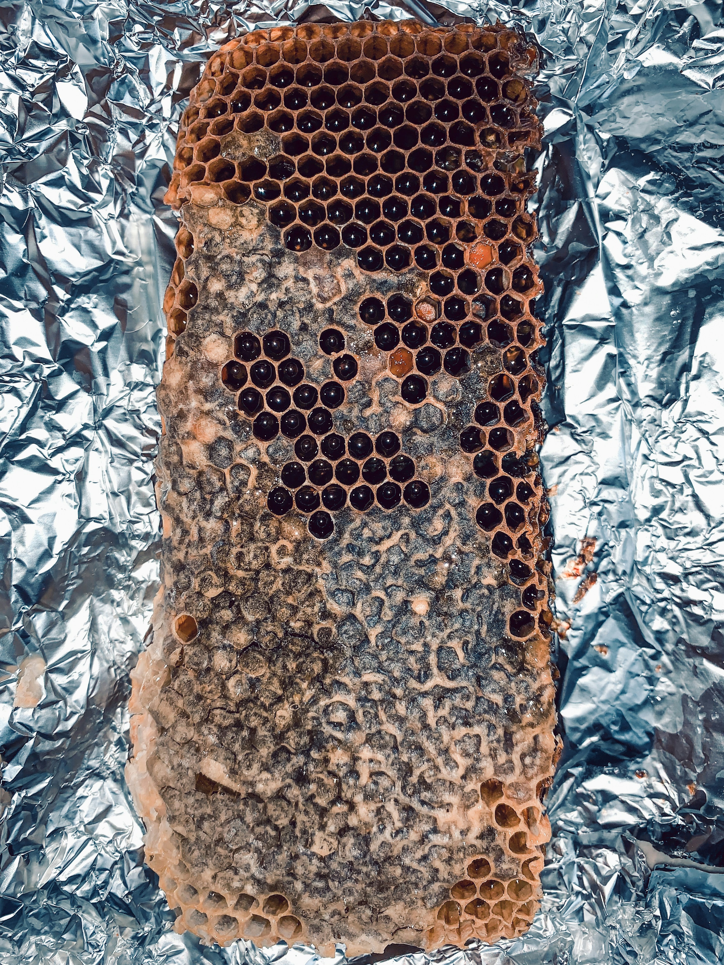 Charred Honeycomb Revival on Crinkled Foil
