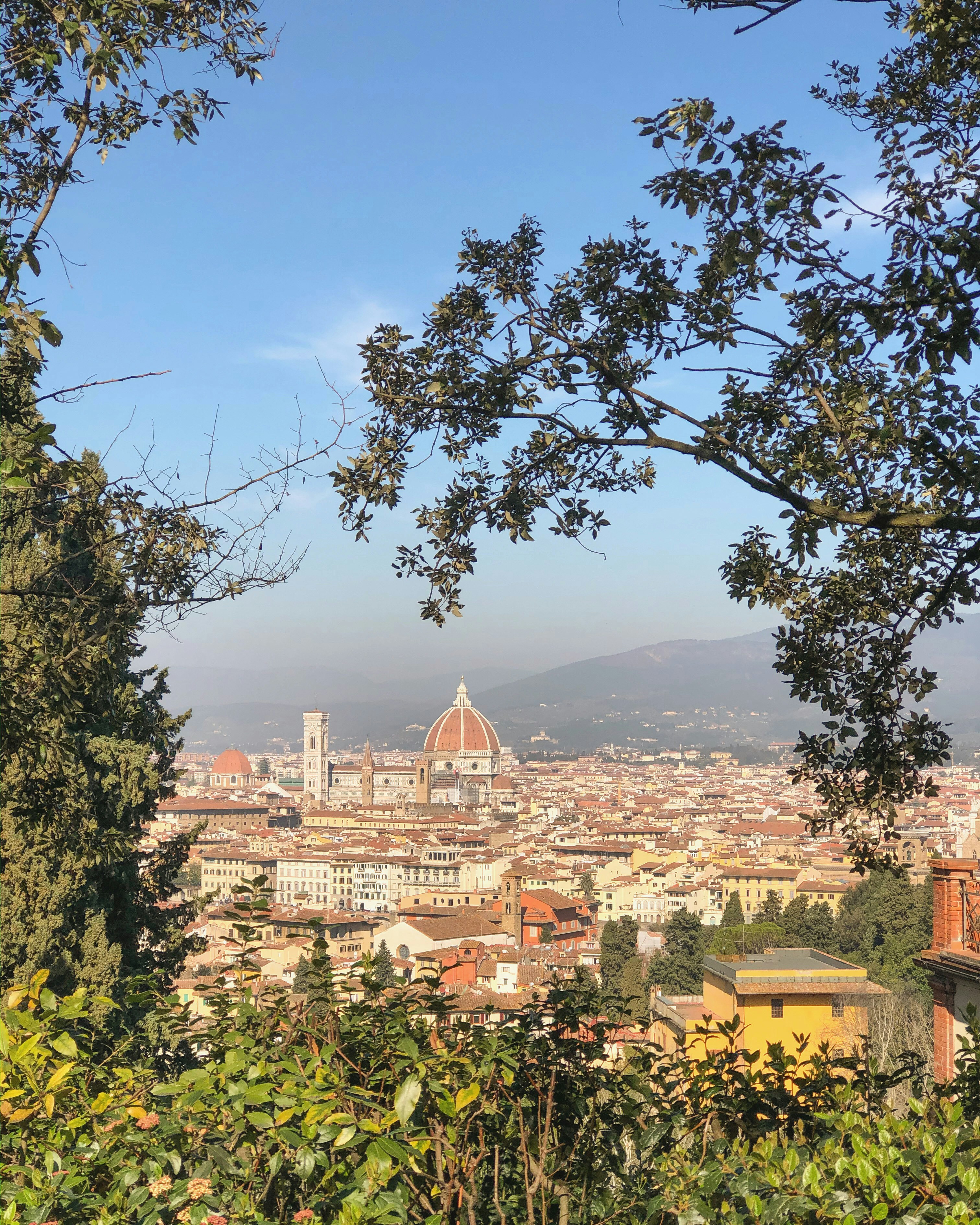 Florence in Focus: The Duomo Framed by a Leafy Curtain