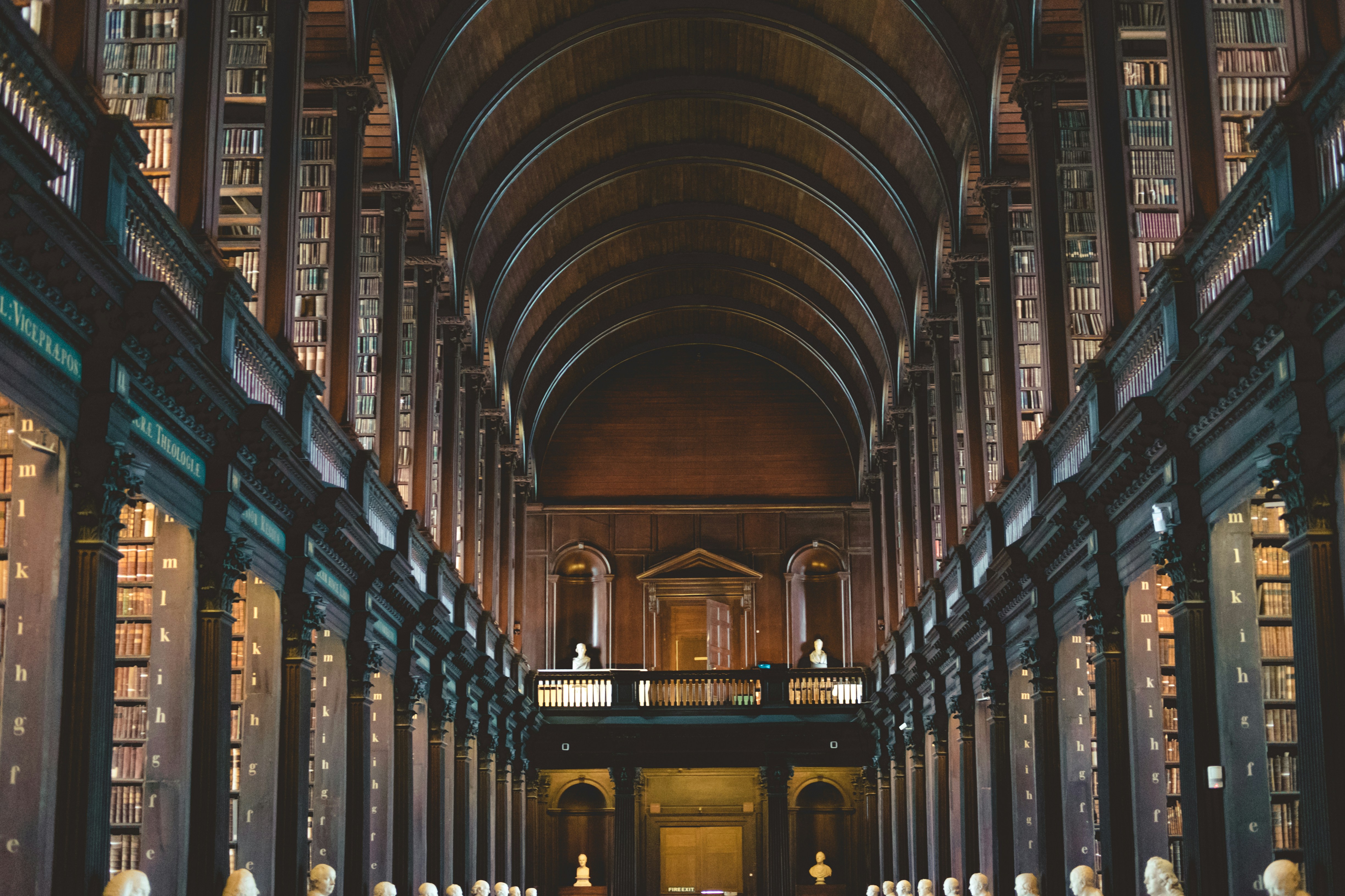 Interior view of a grand library showcasing tall bookshelves and ornate wooden architecture. Statues line the aisles, inviting exploration.