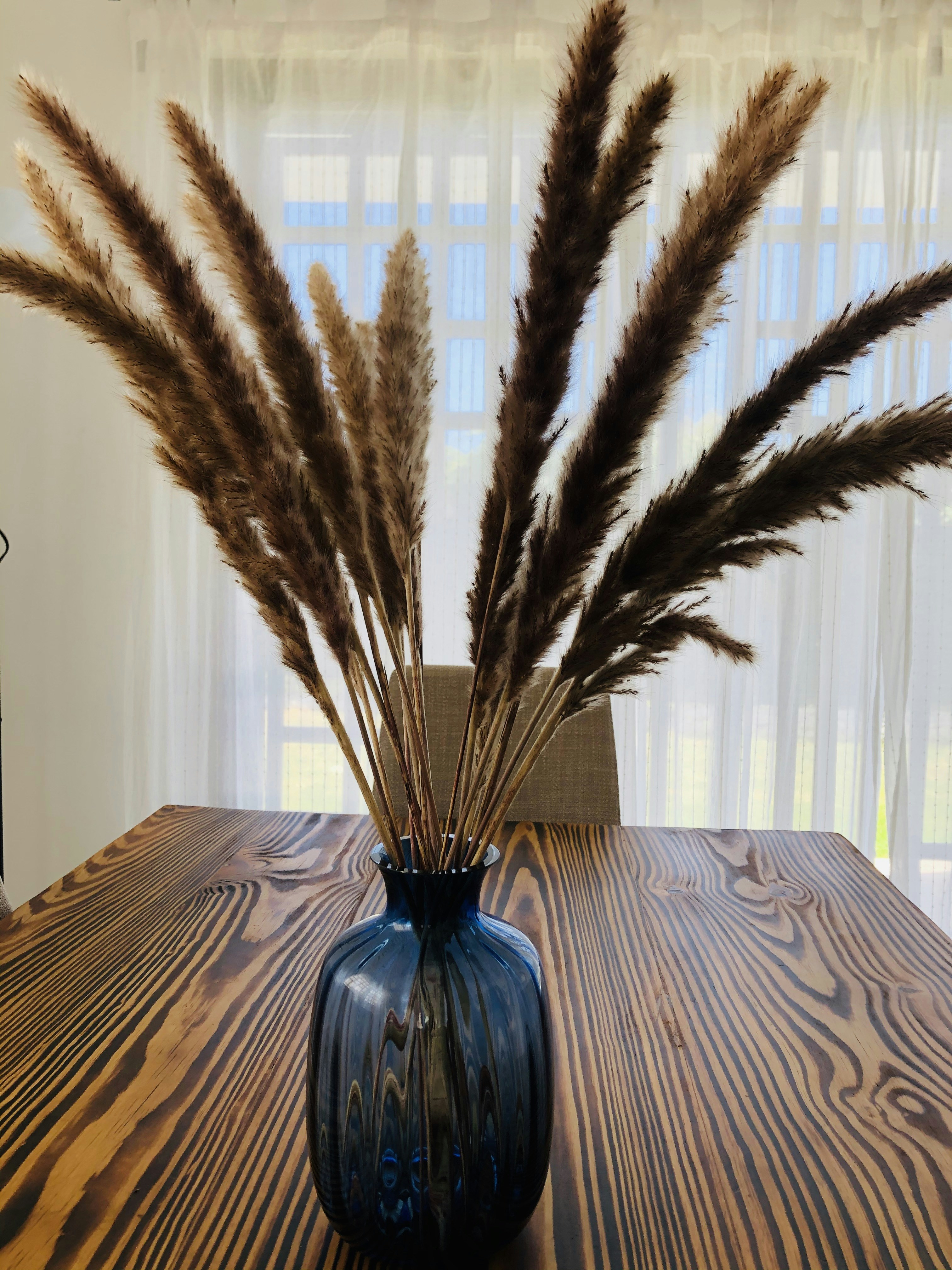 Karla Olmo (@karlap) | Unsplash Photo Community