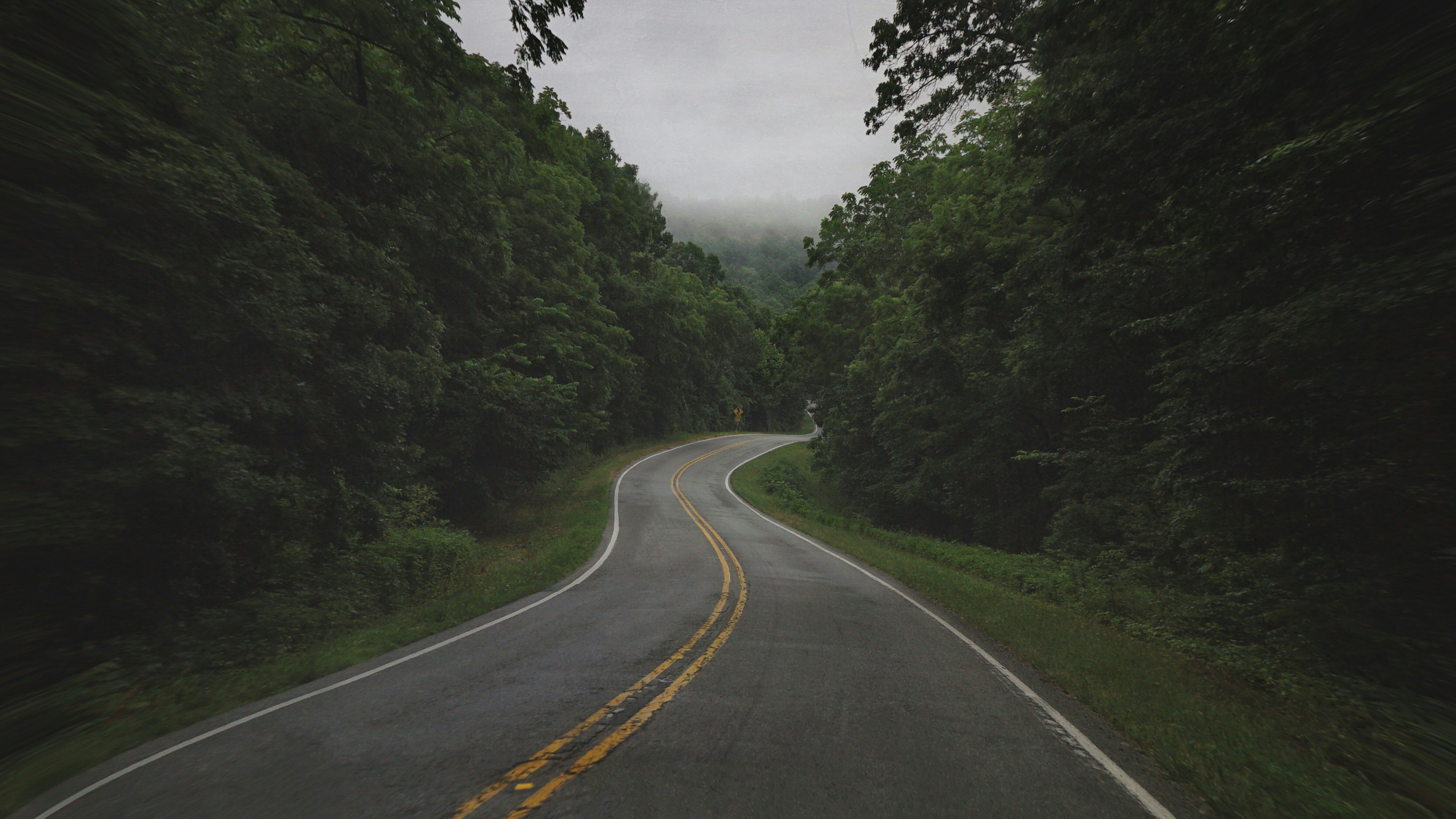 Curving road flanked by lush green forest under an overcast sky.