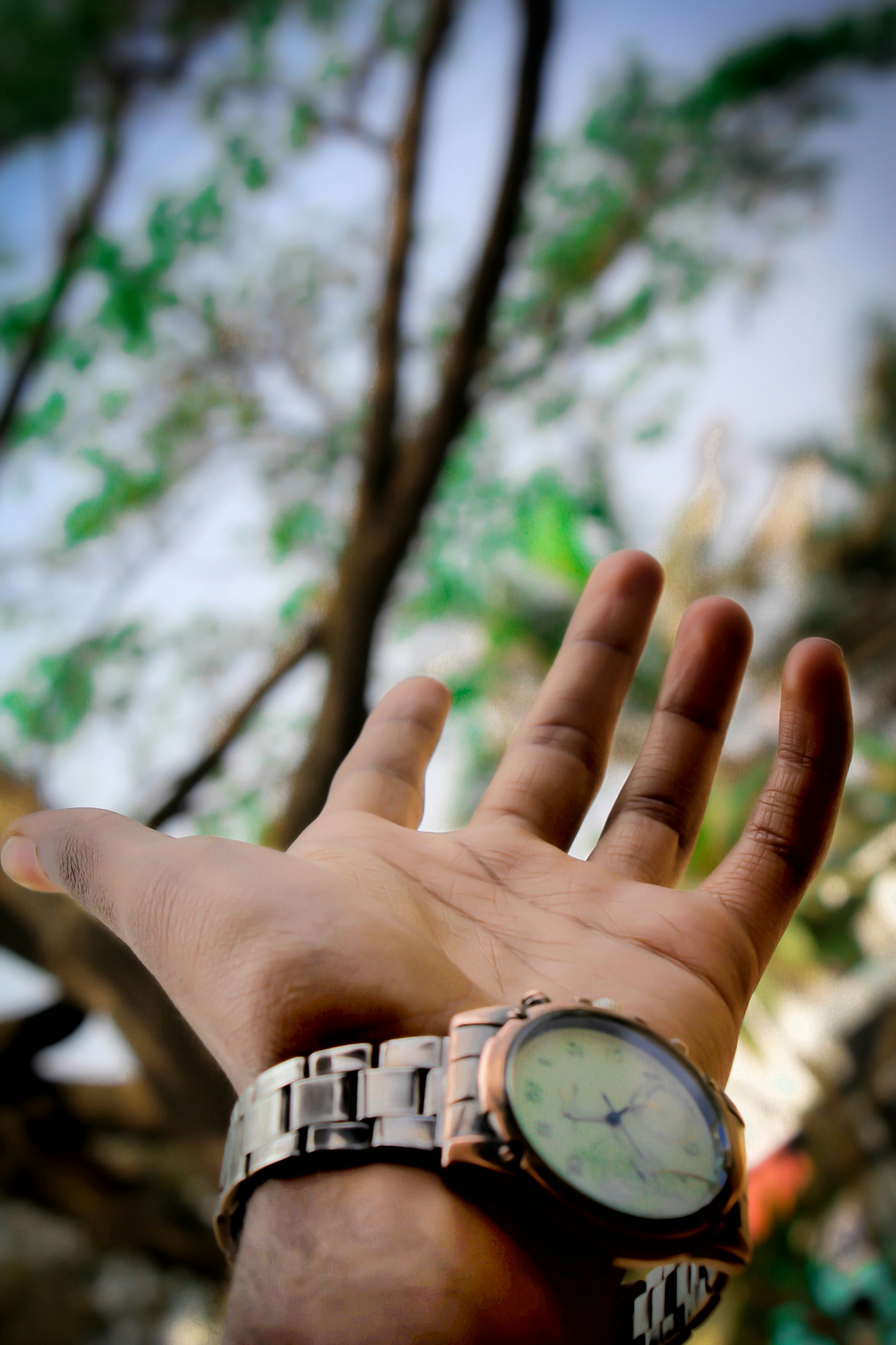 Person wearing gold and silver watch photo – Free Wristwatch Image on ...