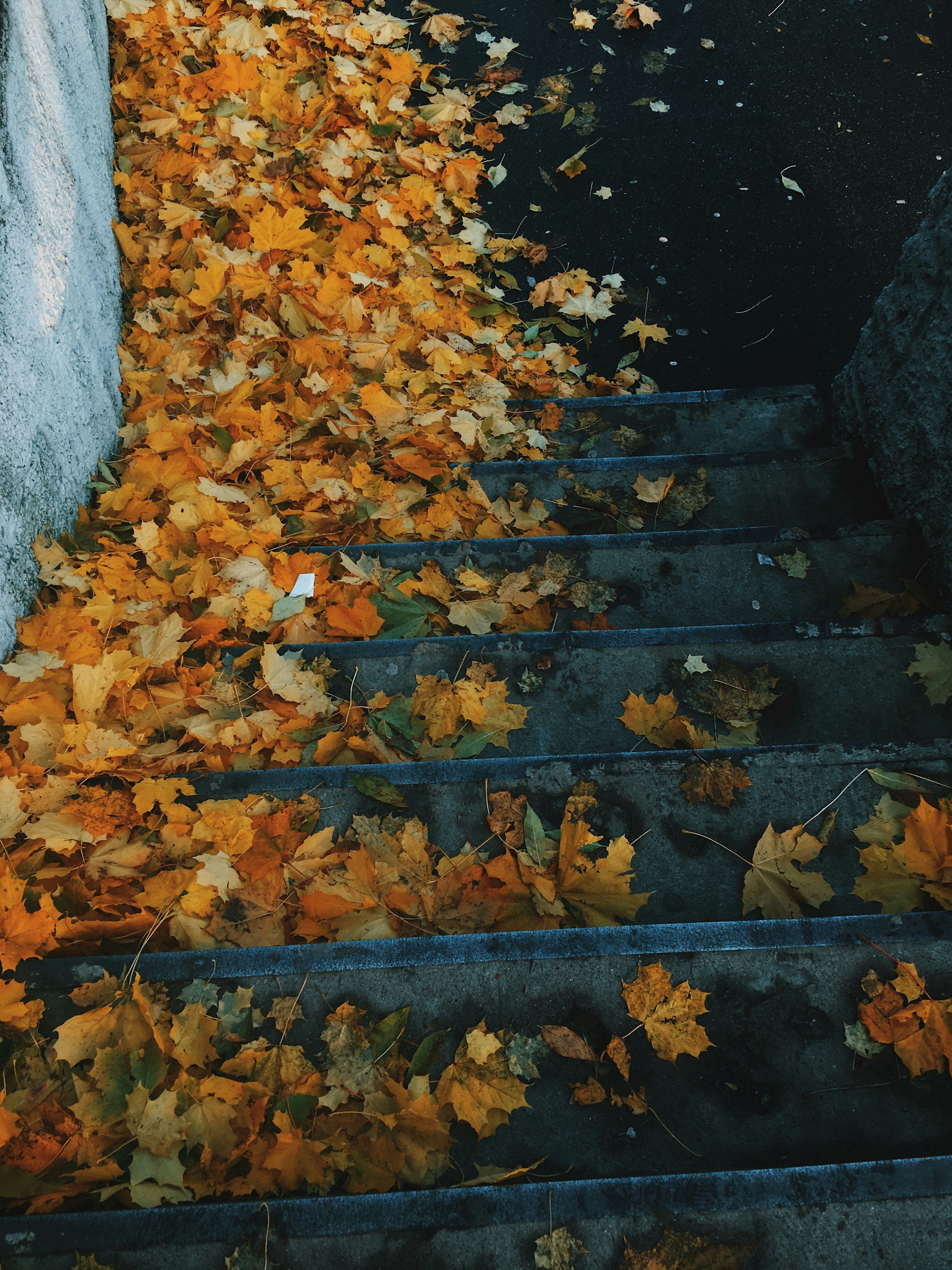 Amber Cascade: Autumn Leaves Cloak a Concrete Staircase
