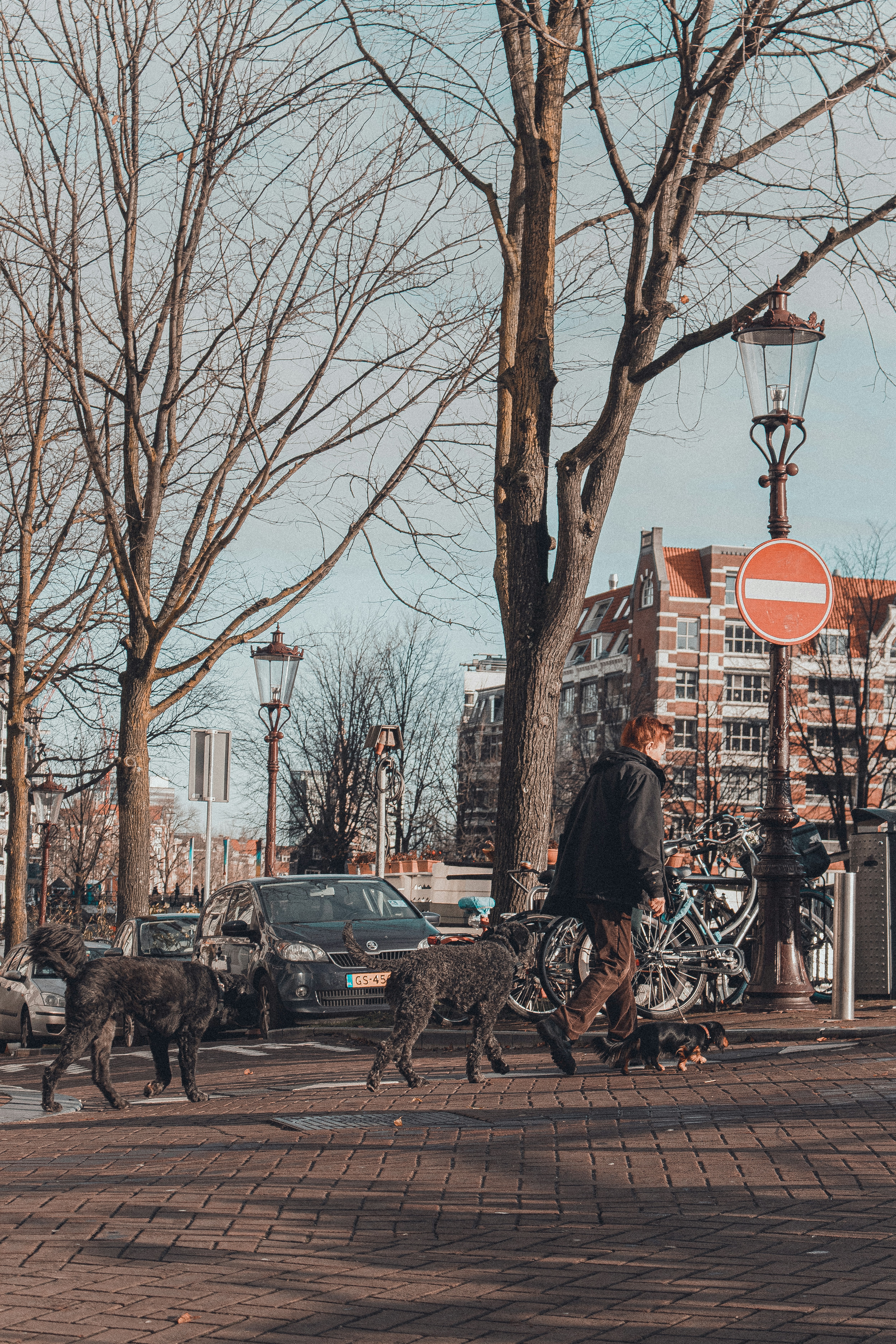 woman in black coat standing beside bicycle during daytime