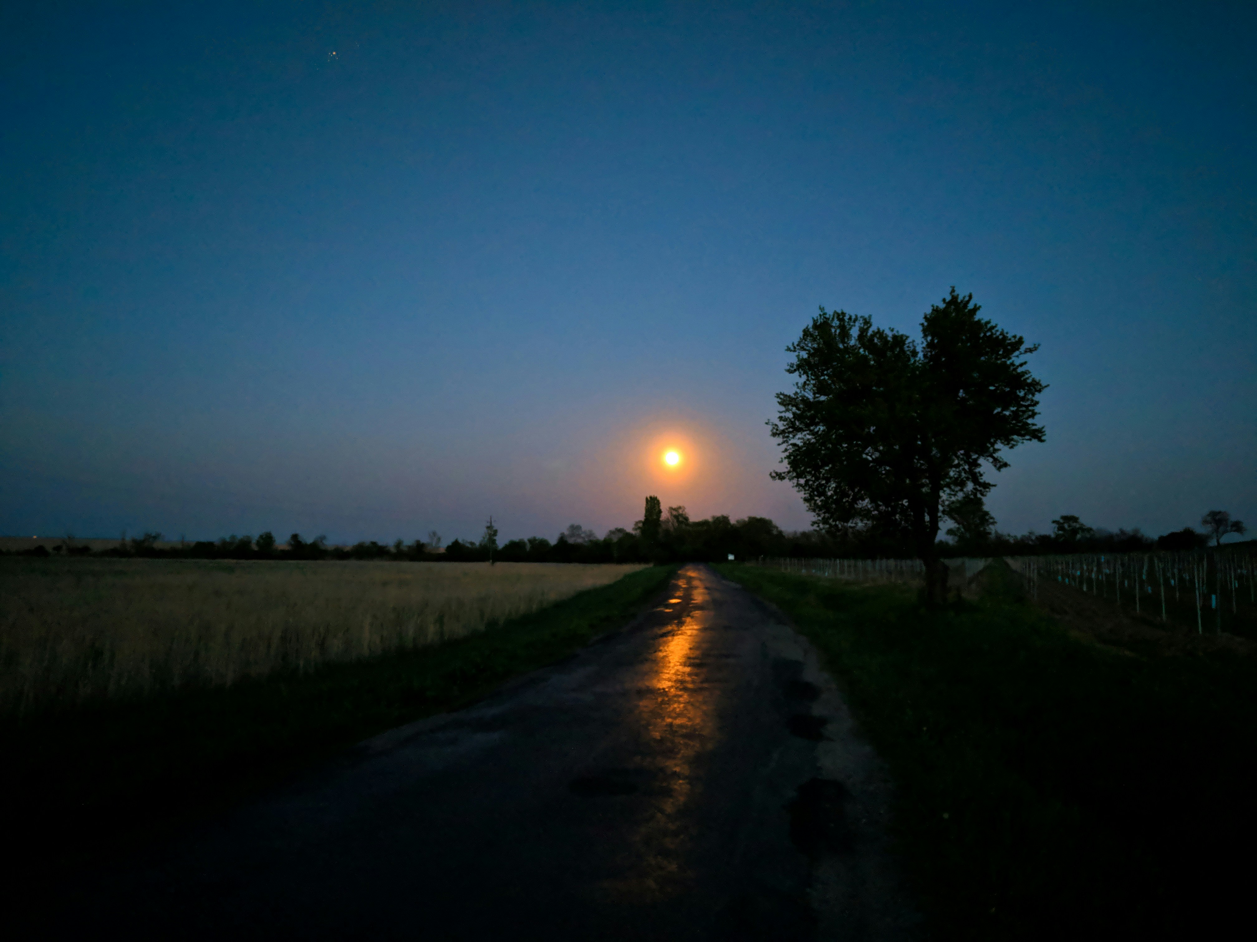Horizon Lantern along a Wet Rural Road at Dusk