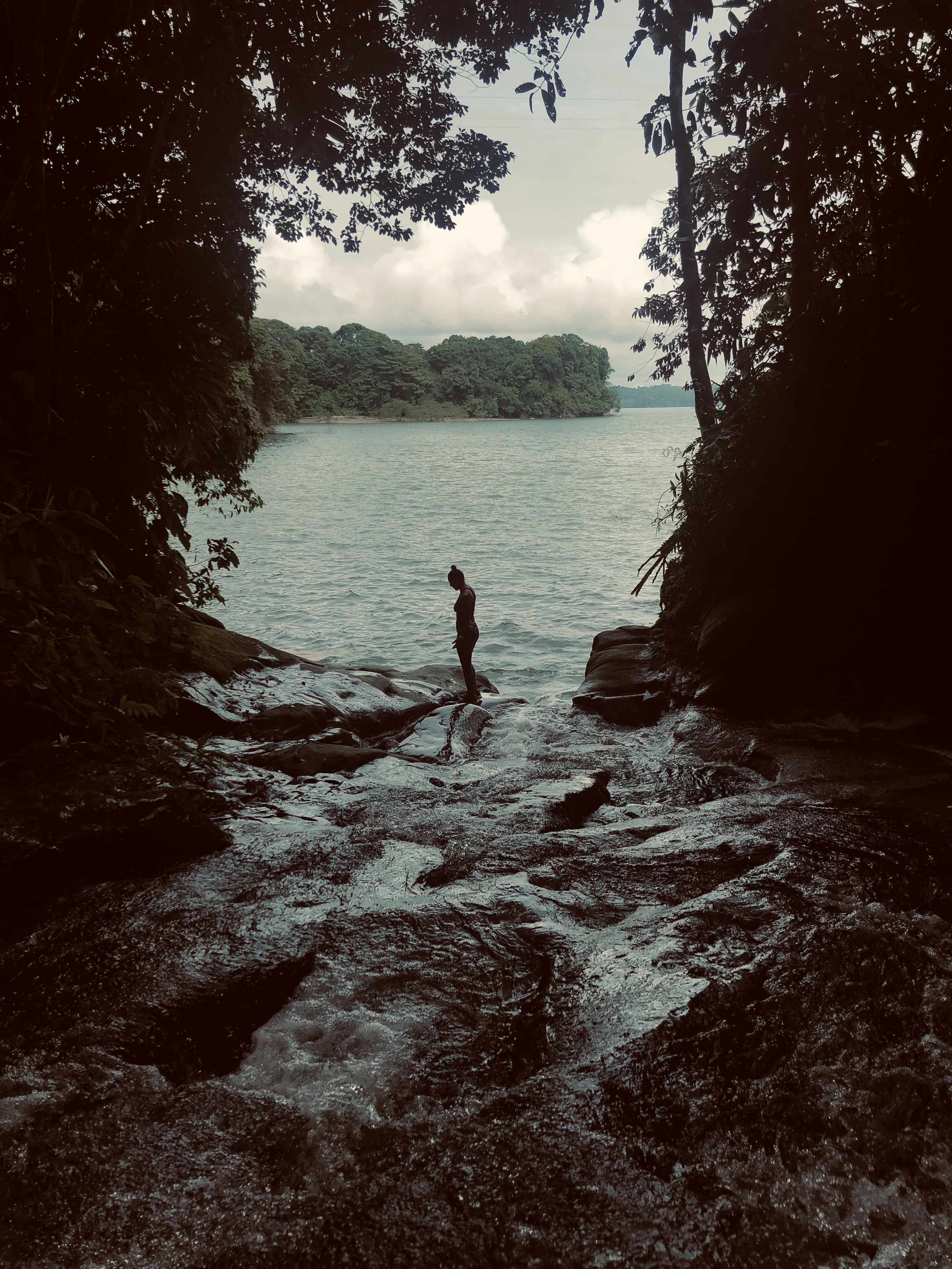 Person standing on rocky shoreline framed by dense foliage overlooking a tranquil lake under a cloudy sky.
