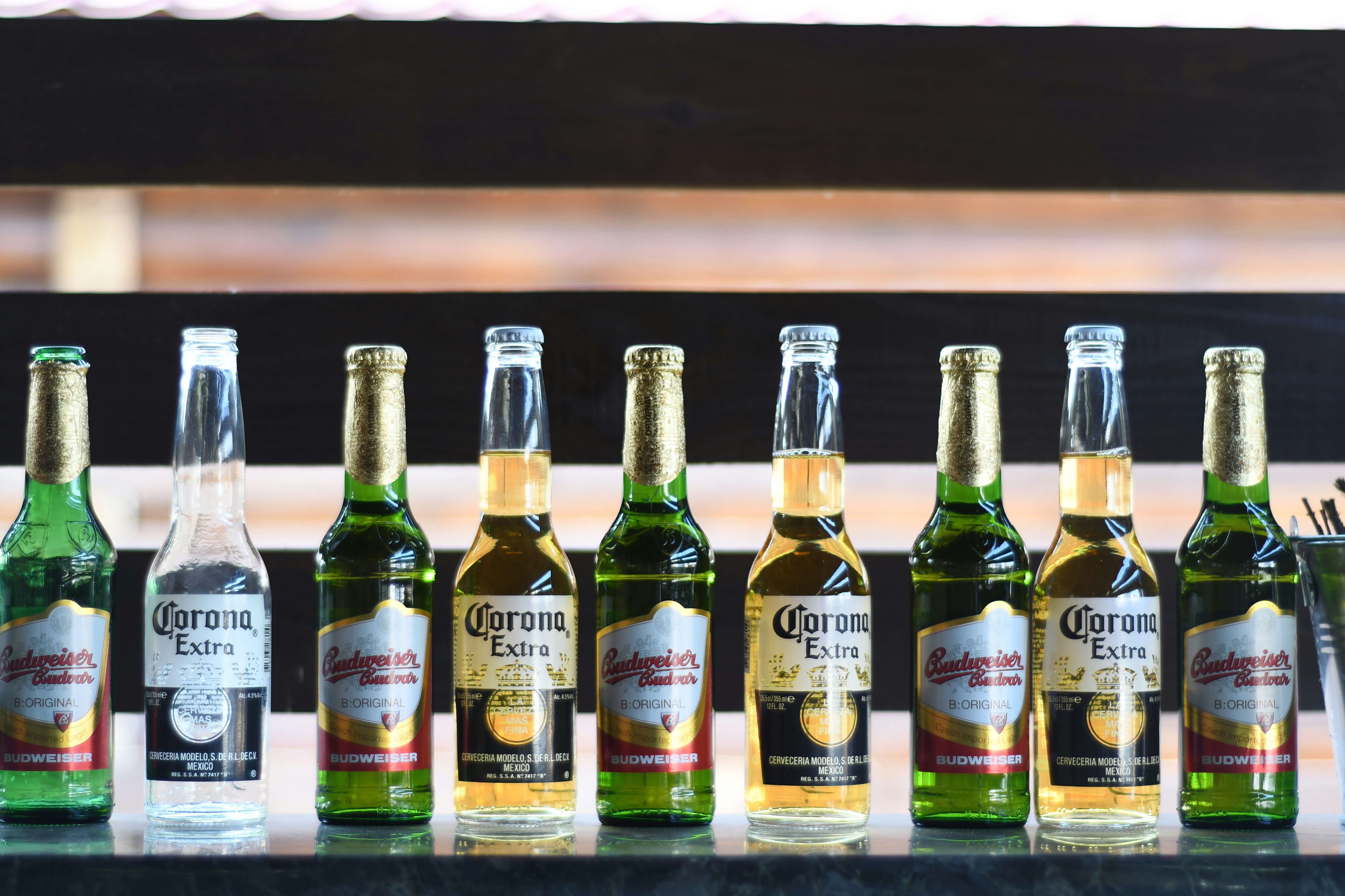 Row of Corona Bottles on a Bar Shelf