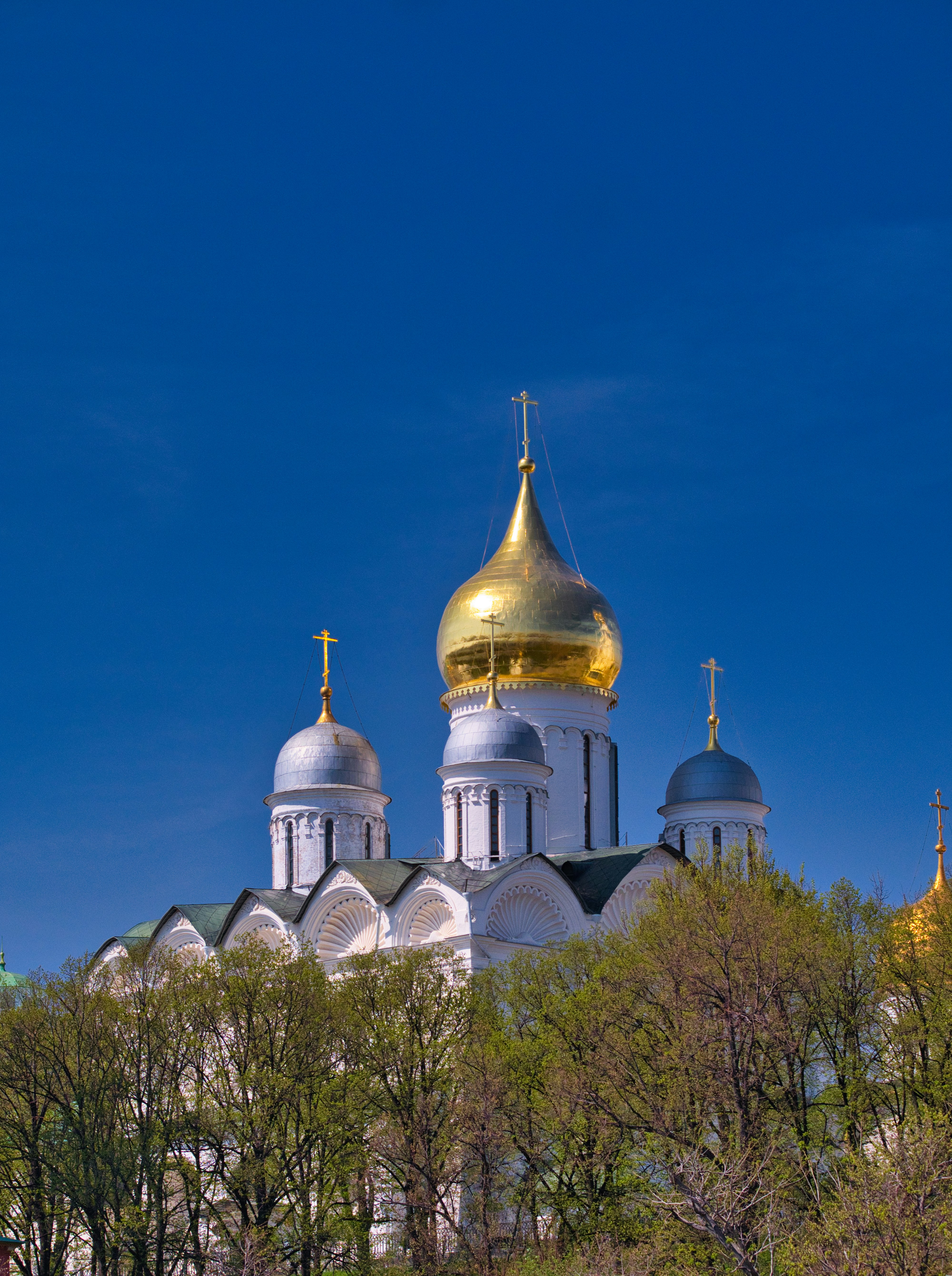 Illuminated golden domes of an ornate cathedral rise above lush greenery under a clear blue sky.