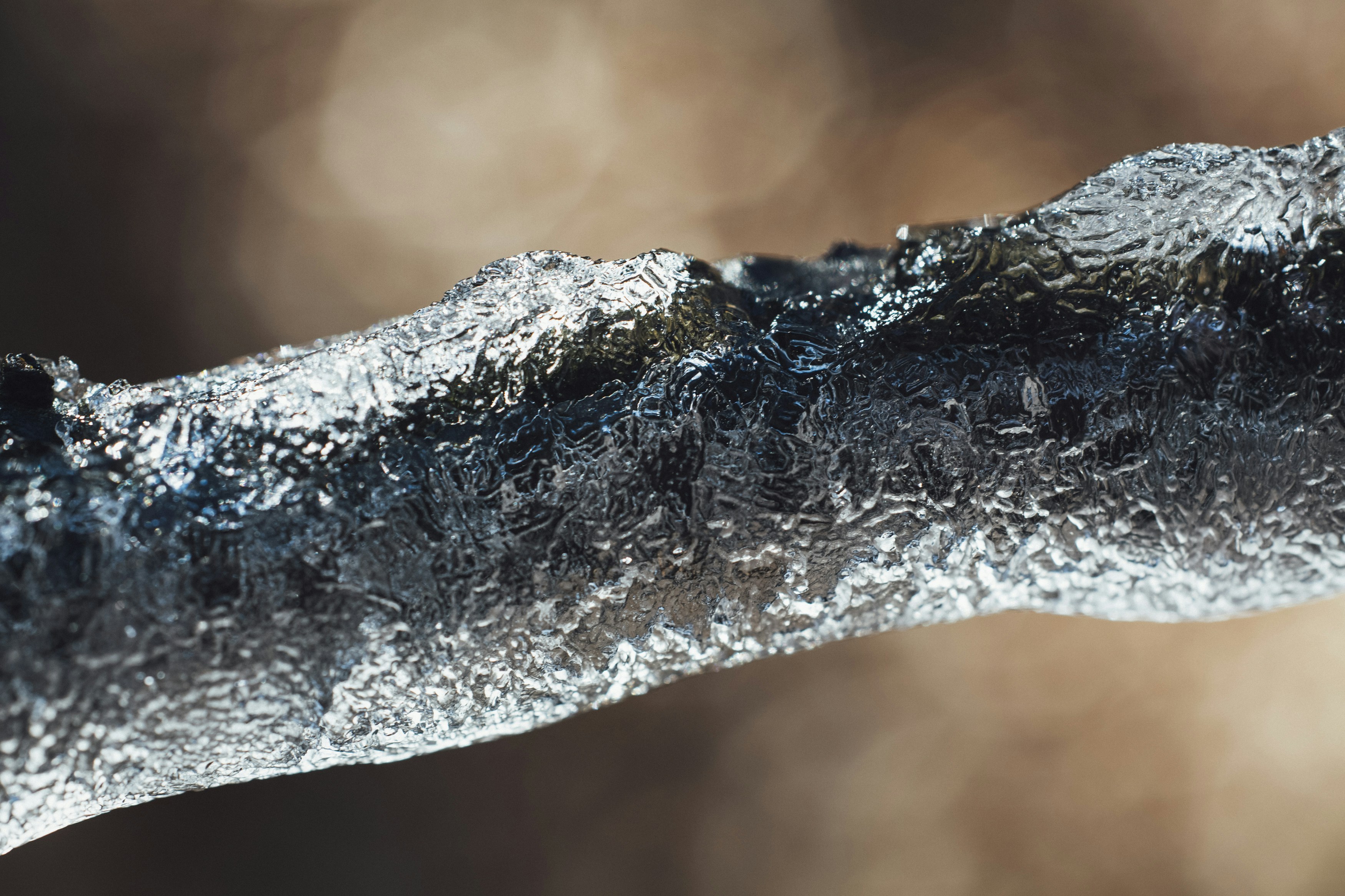 Ice-veined Twig: a macro frost study