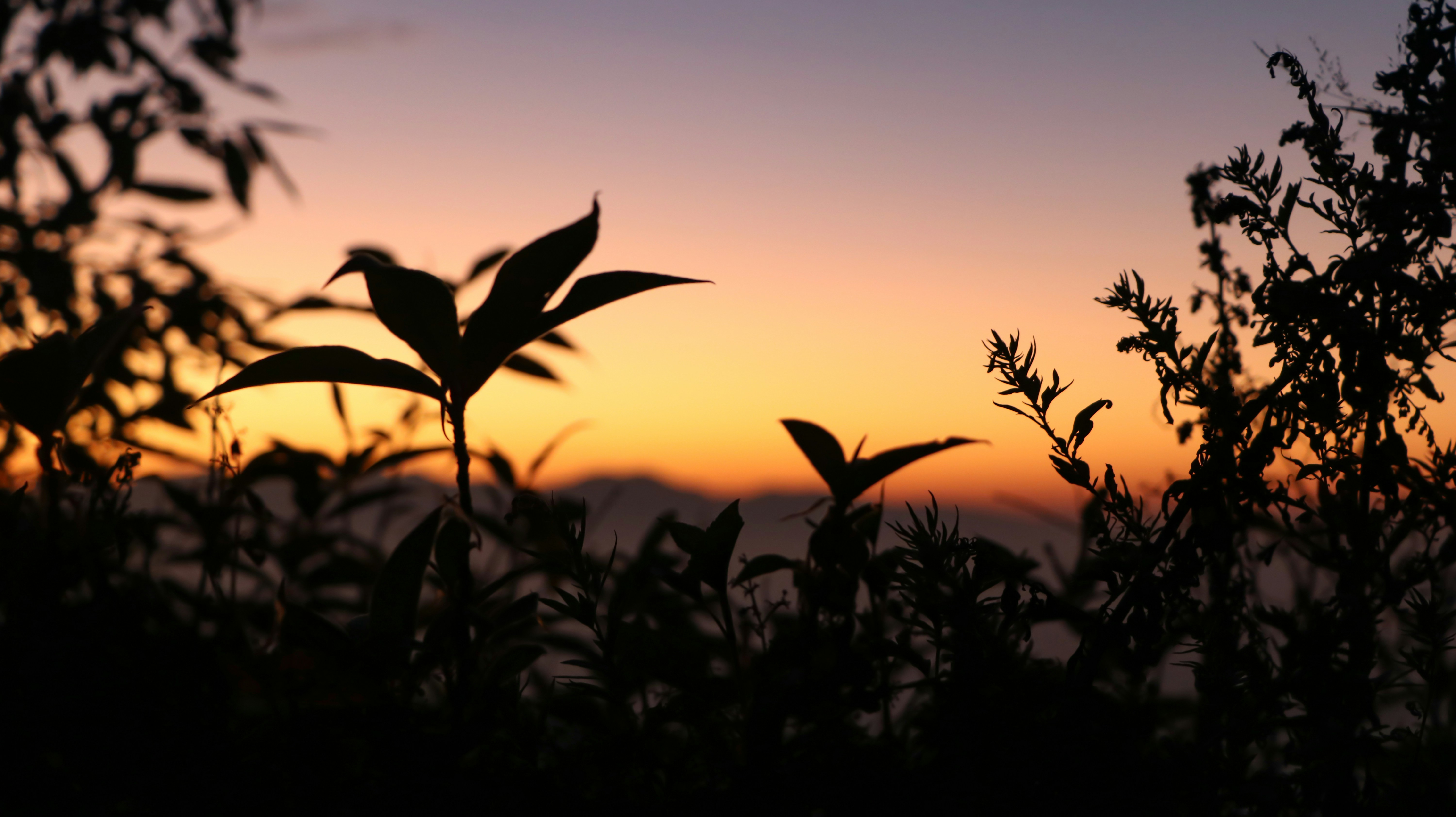 Dusk