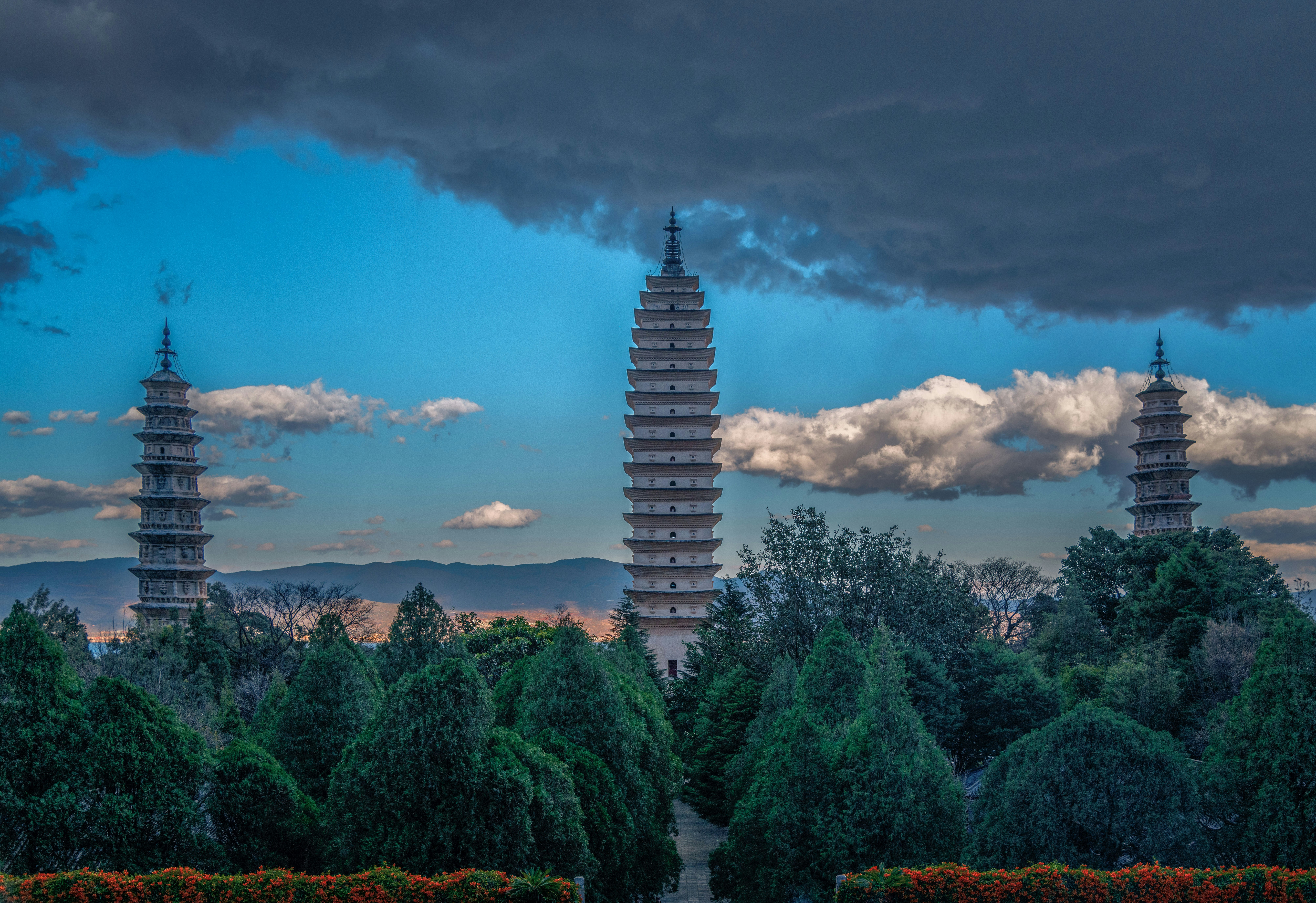 Central Pagoda under a Clear Sky: Symmetry Among Trees