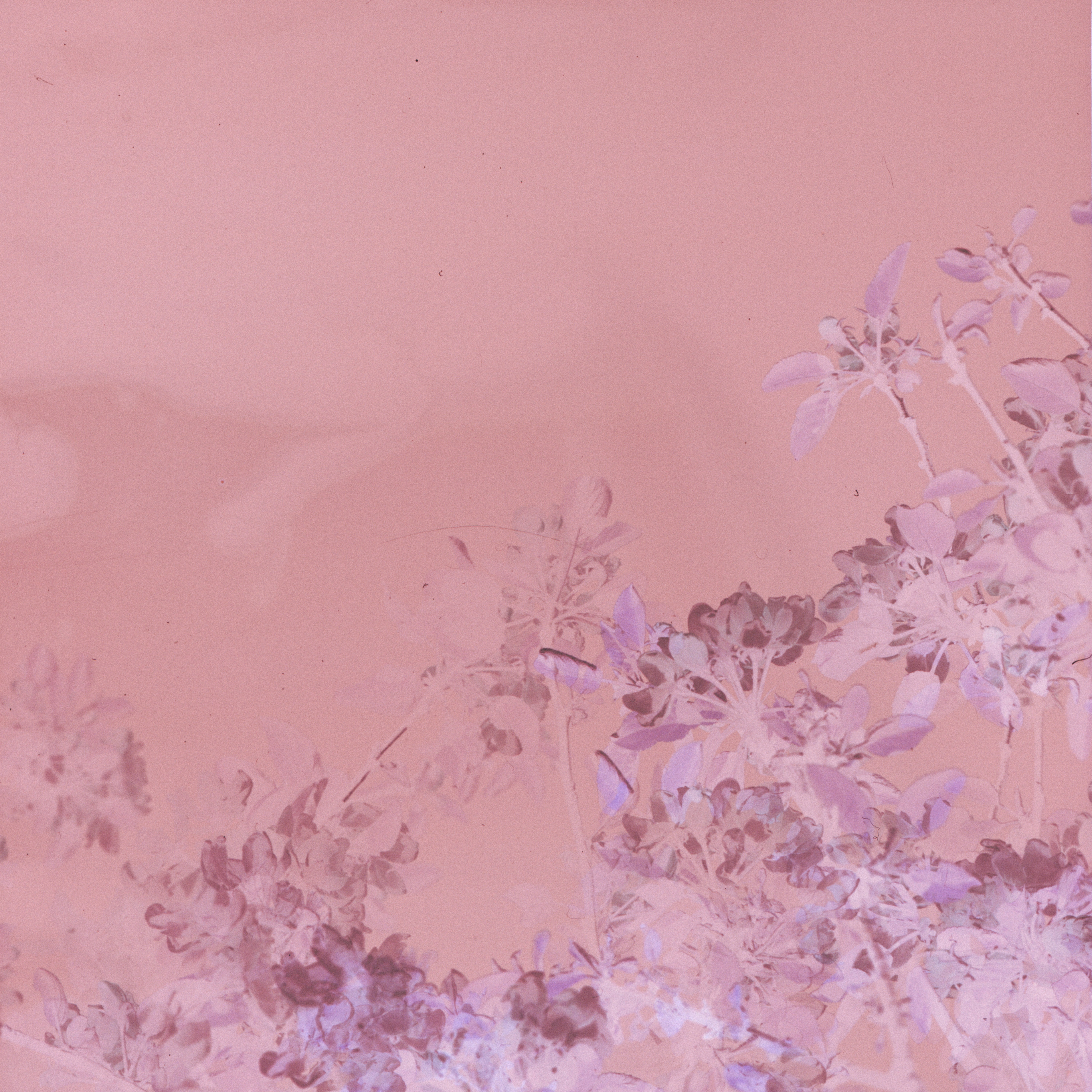 Dma Background Pictures | Download Free Images on Unsplash