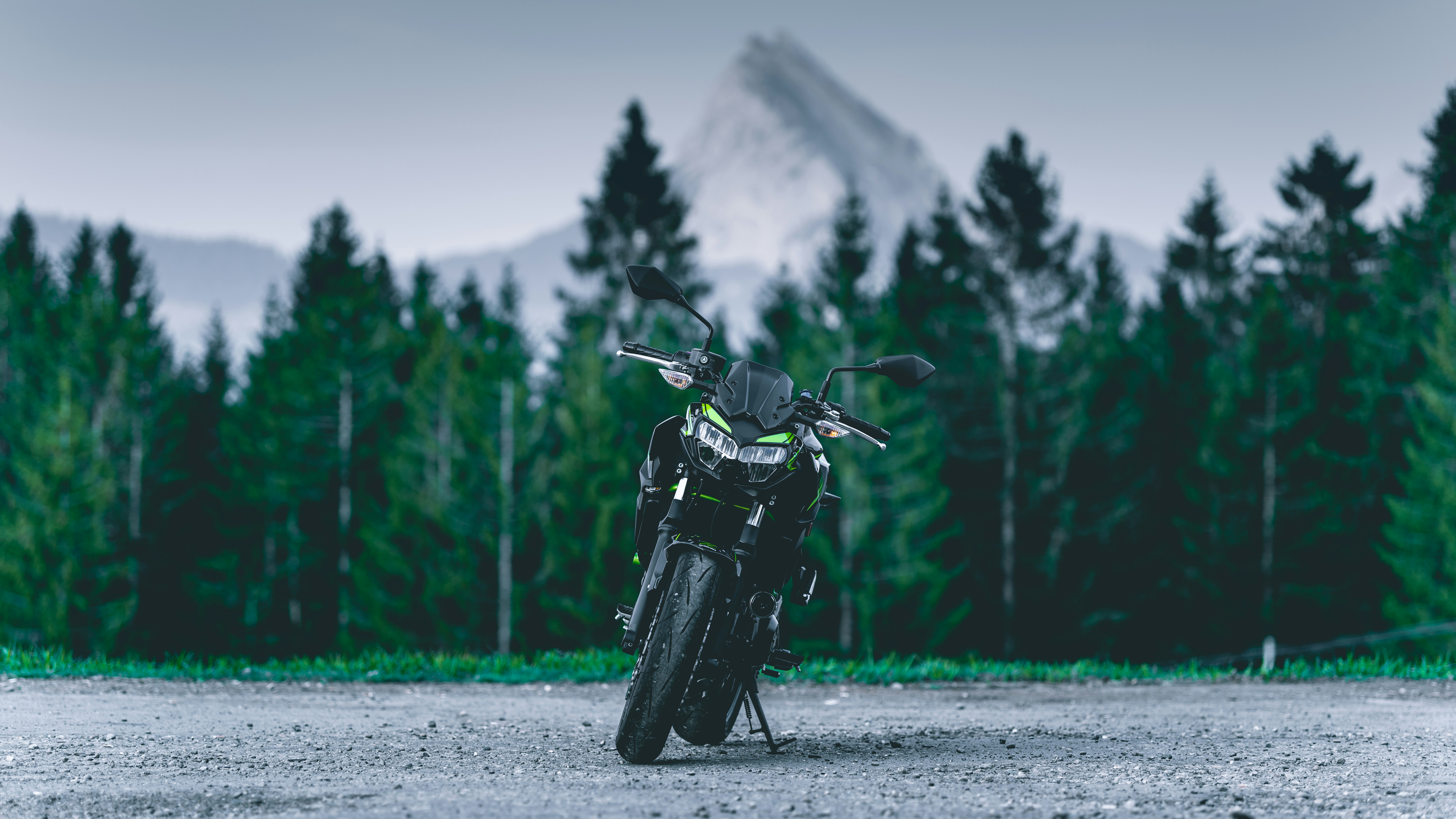 Steel on Gravel: A rugged motorcycle rests before a pine forest and a distant jagged peak.
