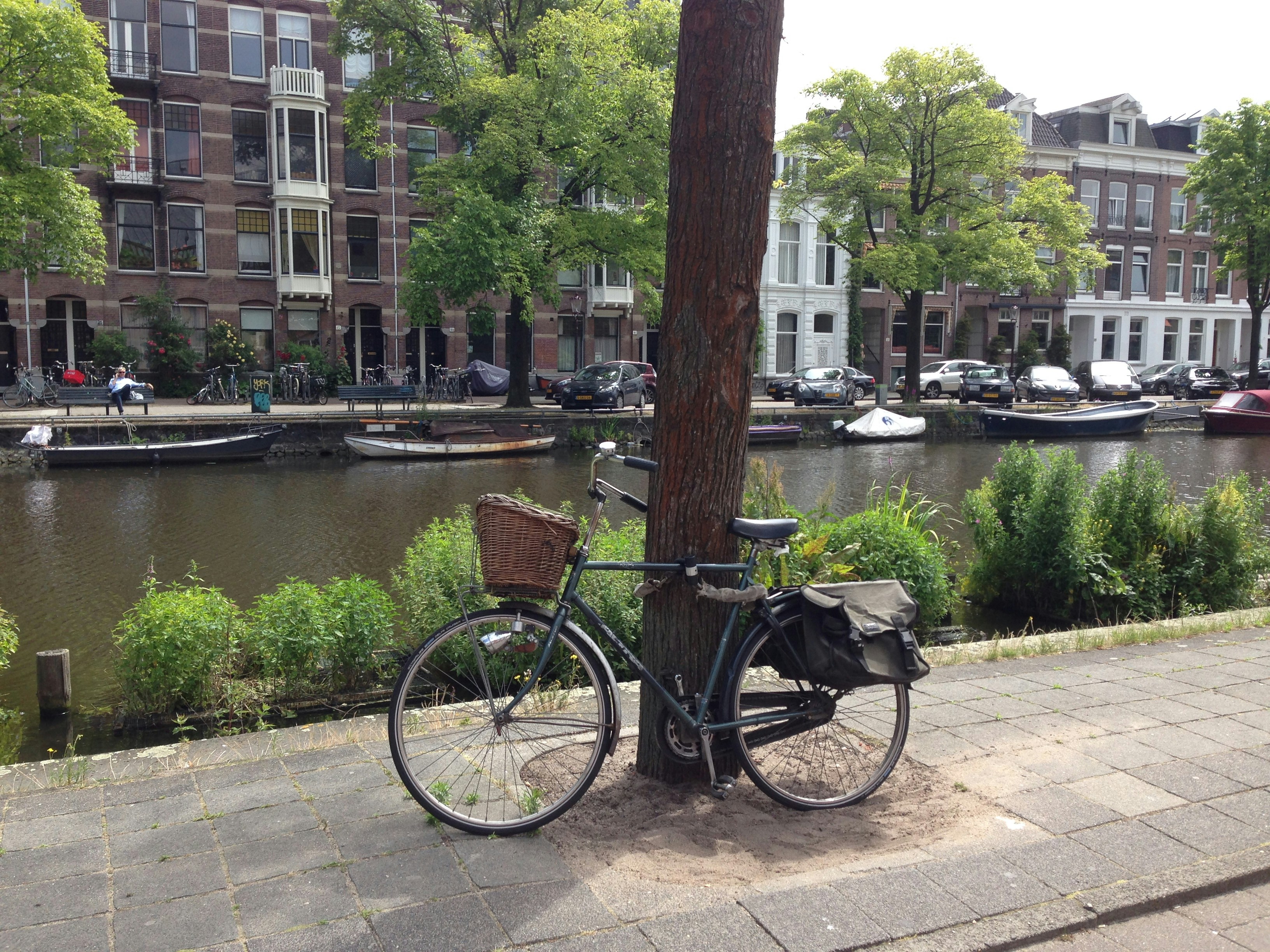 Bike by the Canal: Urban Calm Under a Shaded Tree