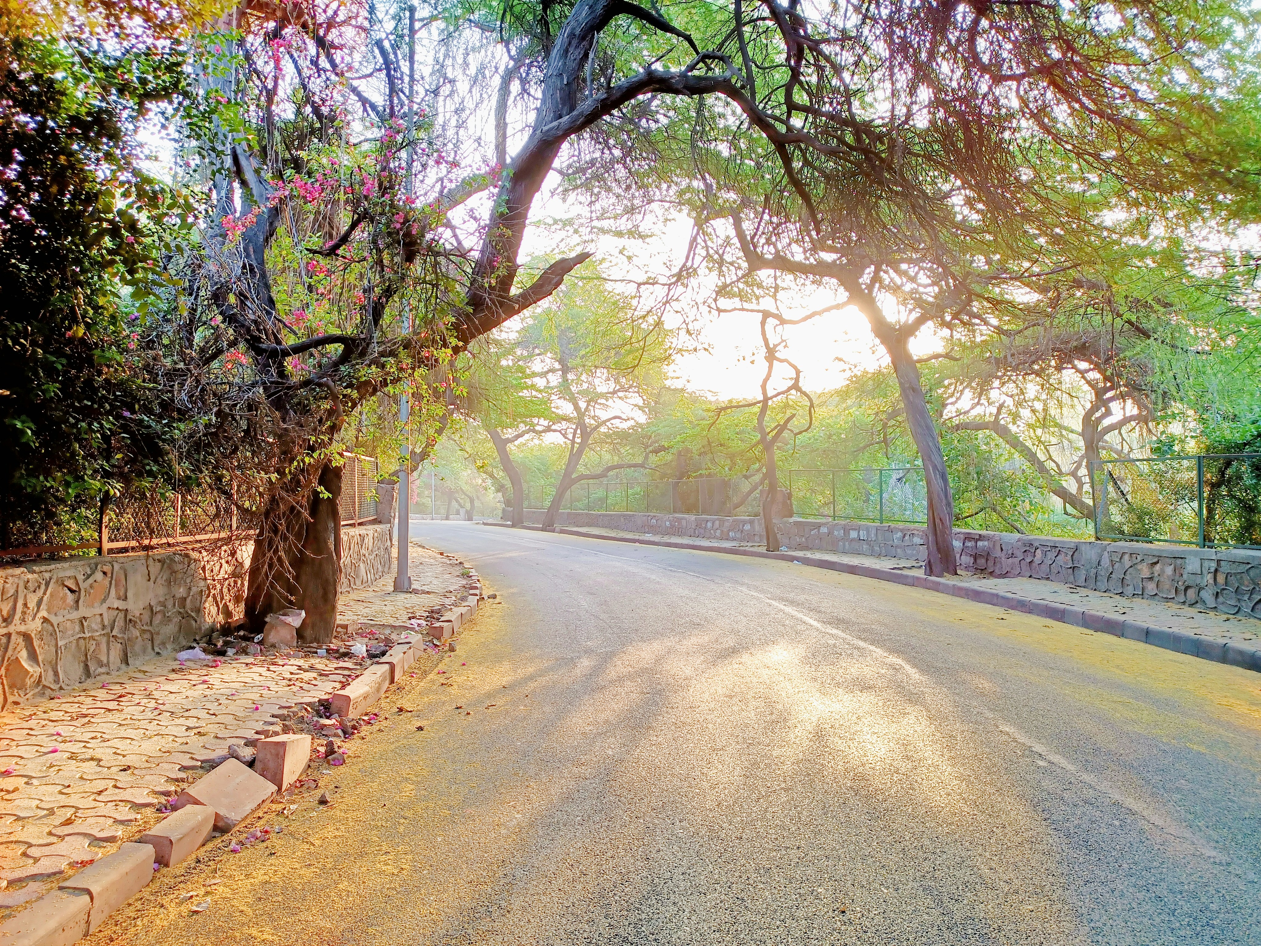 Free Kamla nehru ridge Image on Unsplash