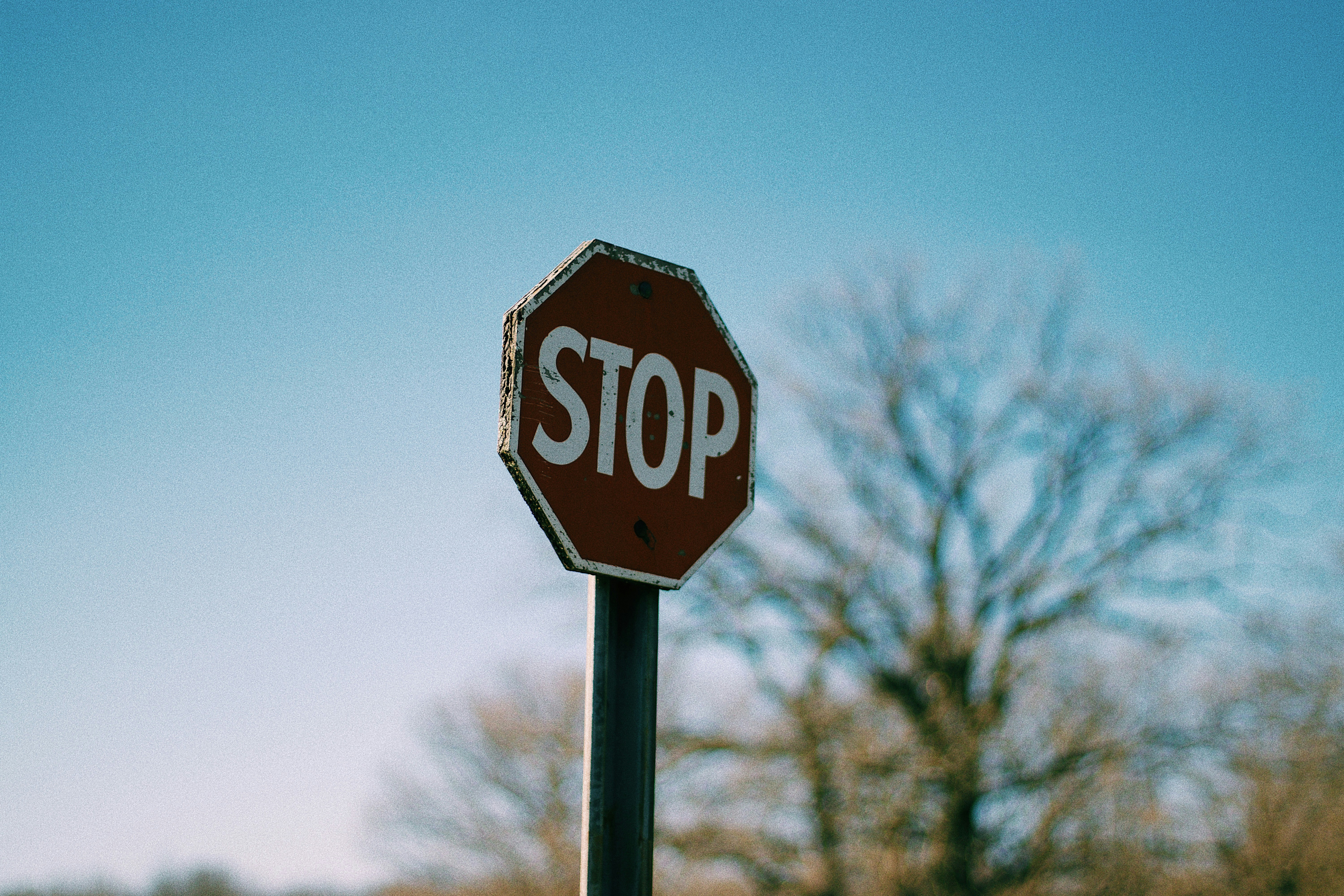 Red and white stop sign photo – Free Road sign Image on Unsplash