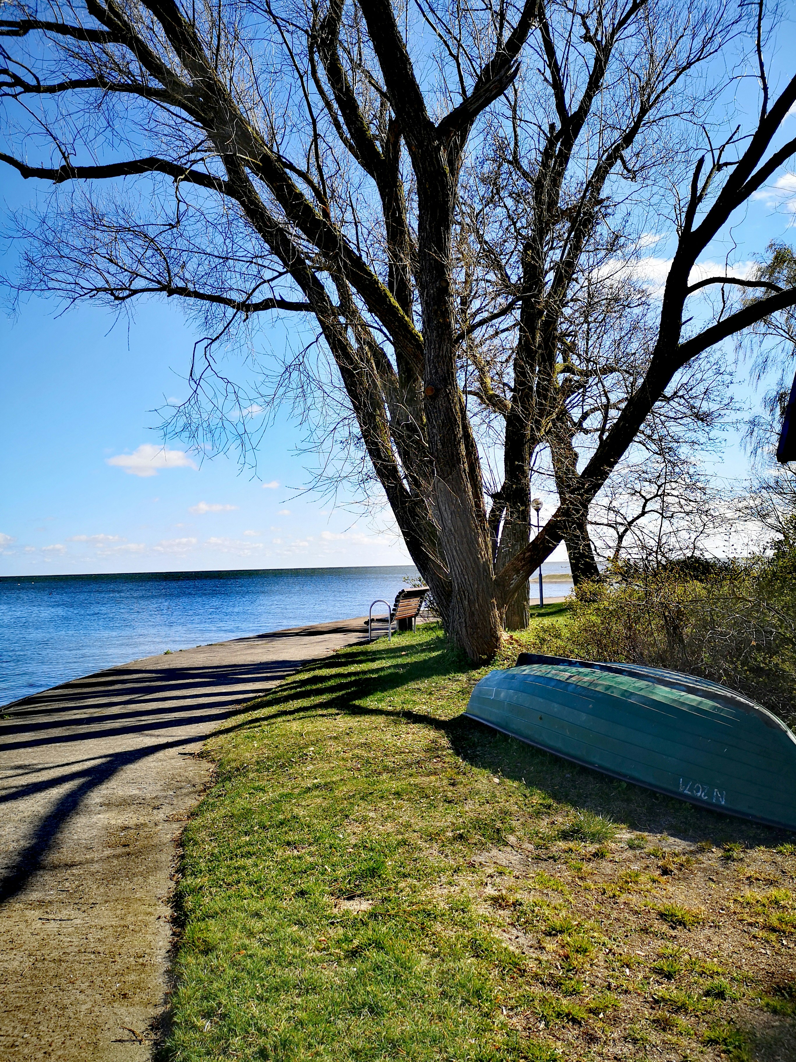Imagens de Preila, Lithuania | Baixe imagens gratuitas na Unsplash