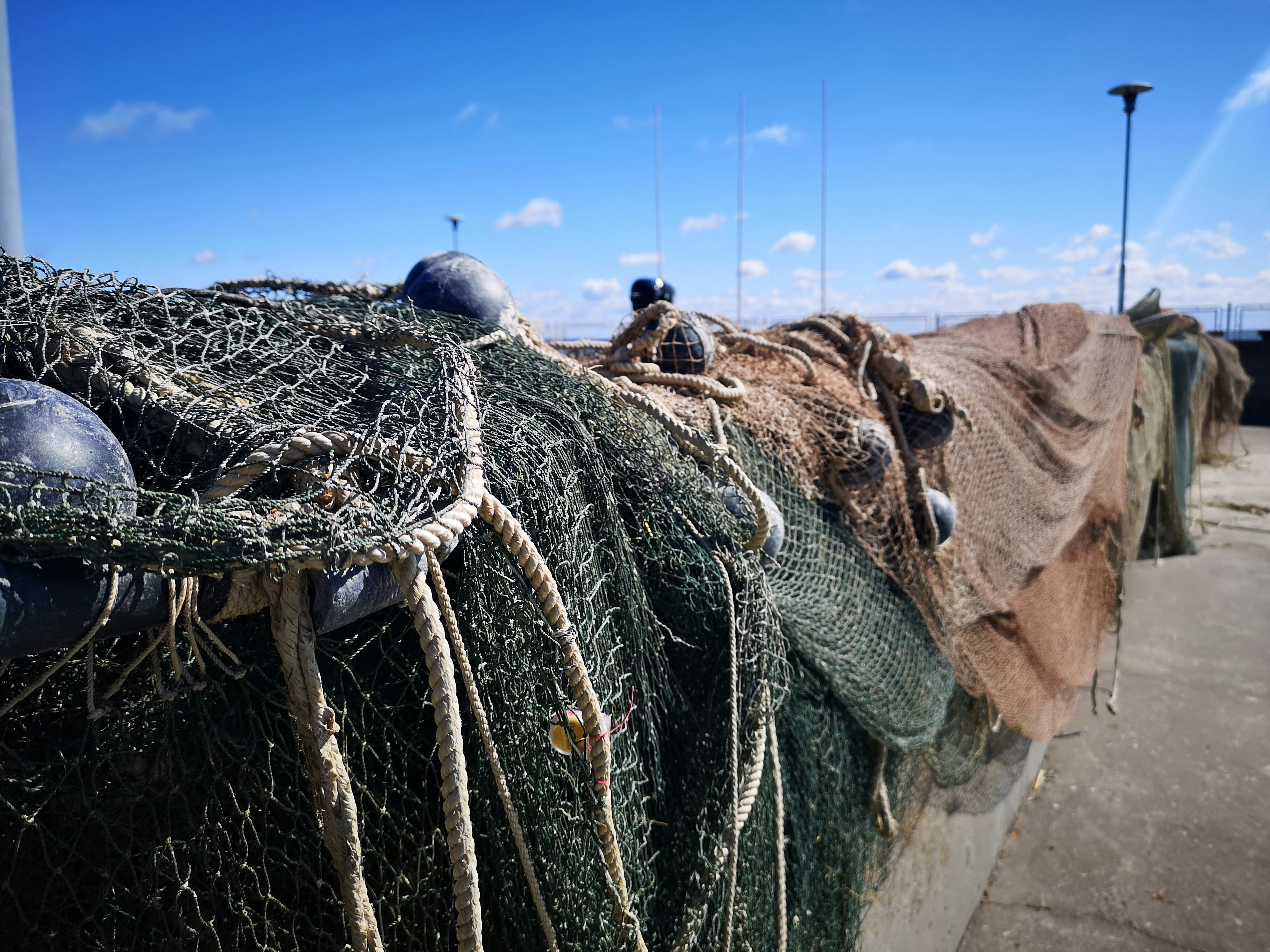 Roped nets and weathered shoreline: textures in cooperative light