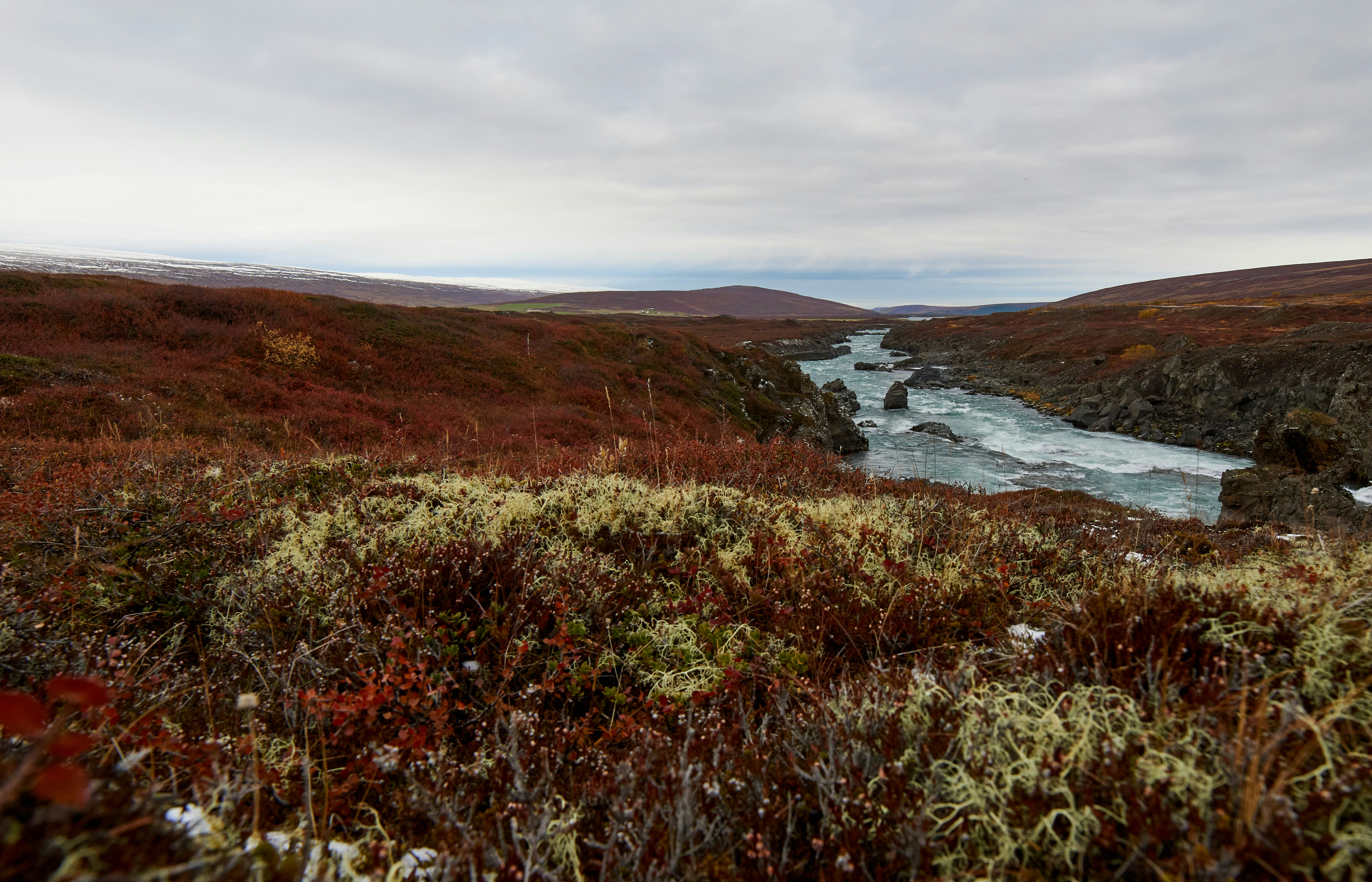 Vibrant autumn foliage blankets the foreground, leading to a winding river that flows through a rugged landscape under a cloudy sky.