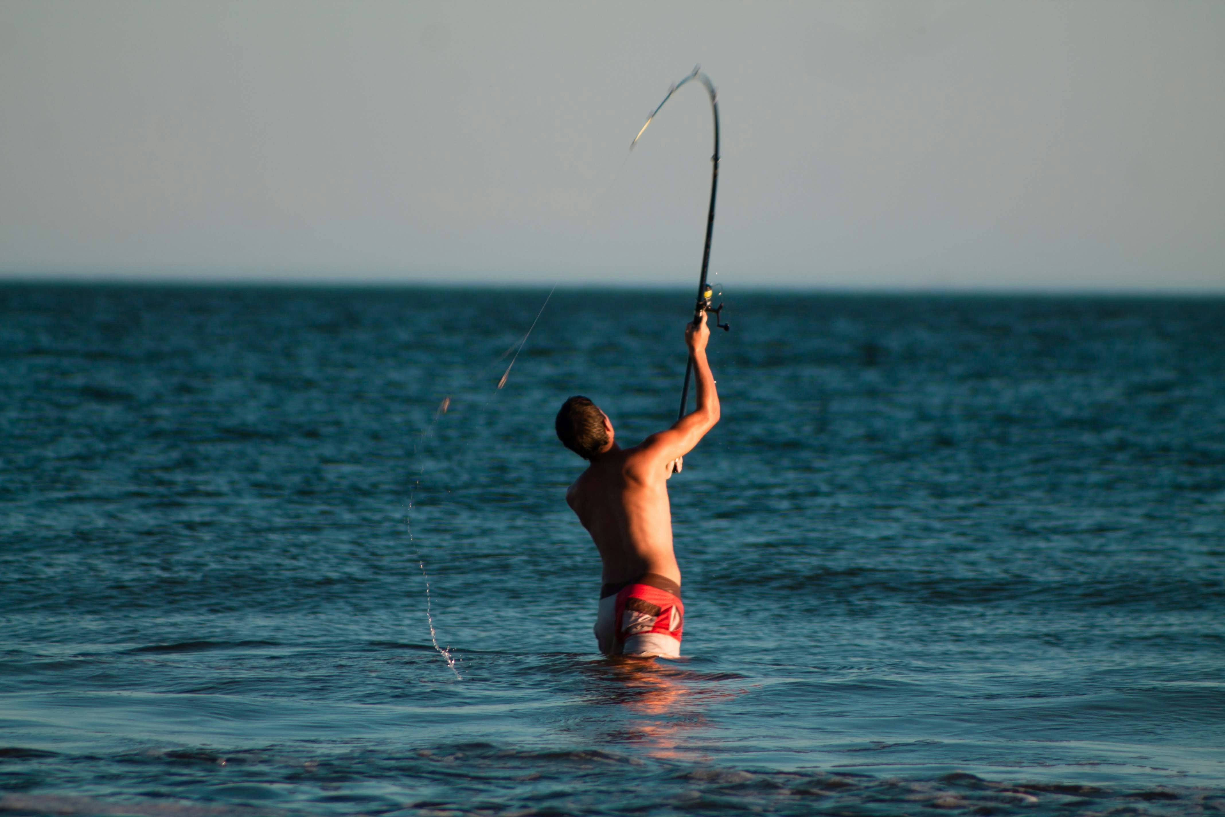 Whip and Wave: A Long Cast at the Quiet Blue Horizon