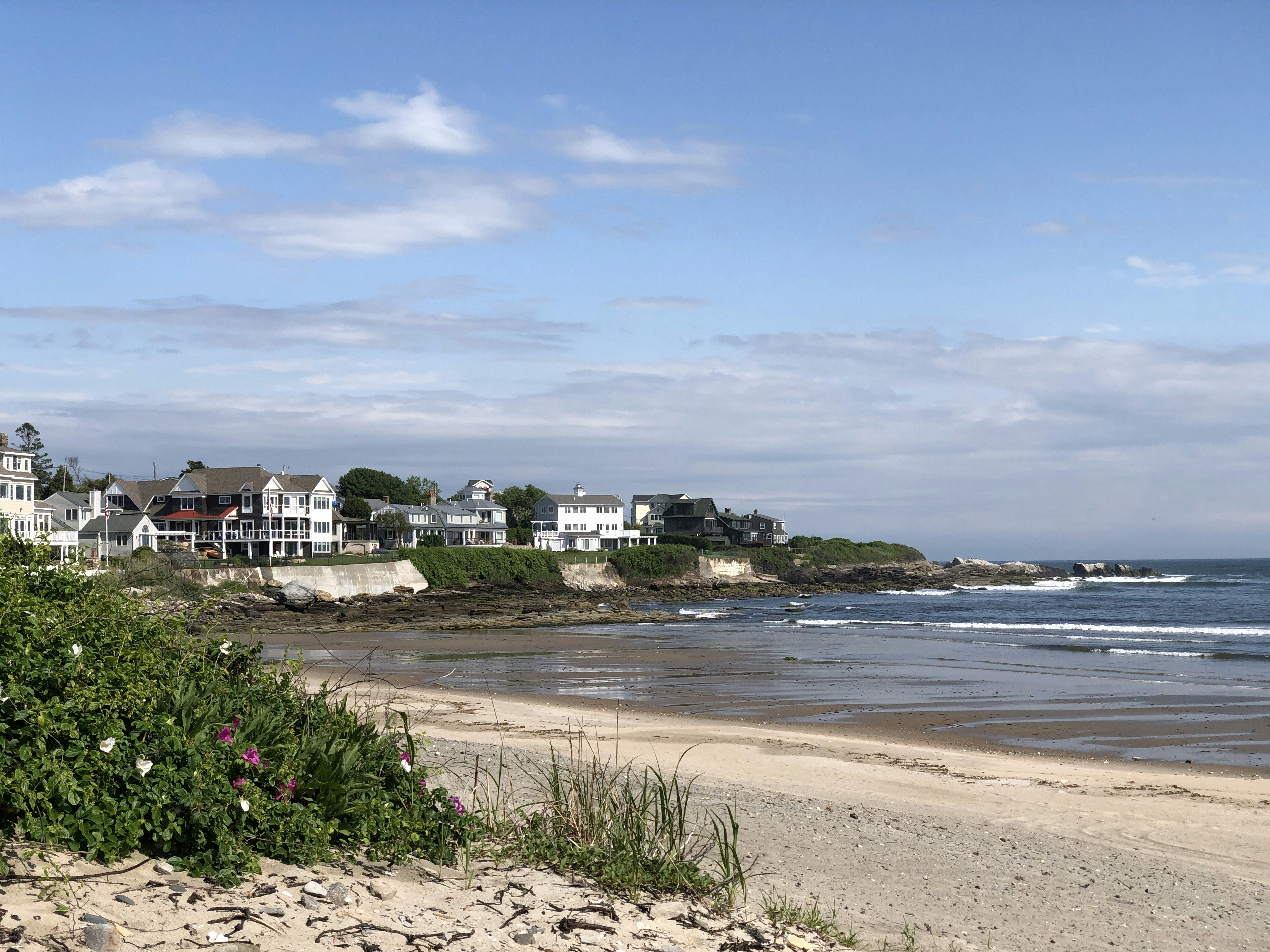 Sandy beach bordered by lush greenery and quaint seaside houses under a bright blue sky.