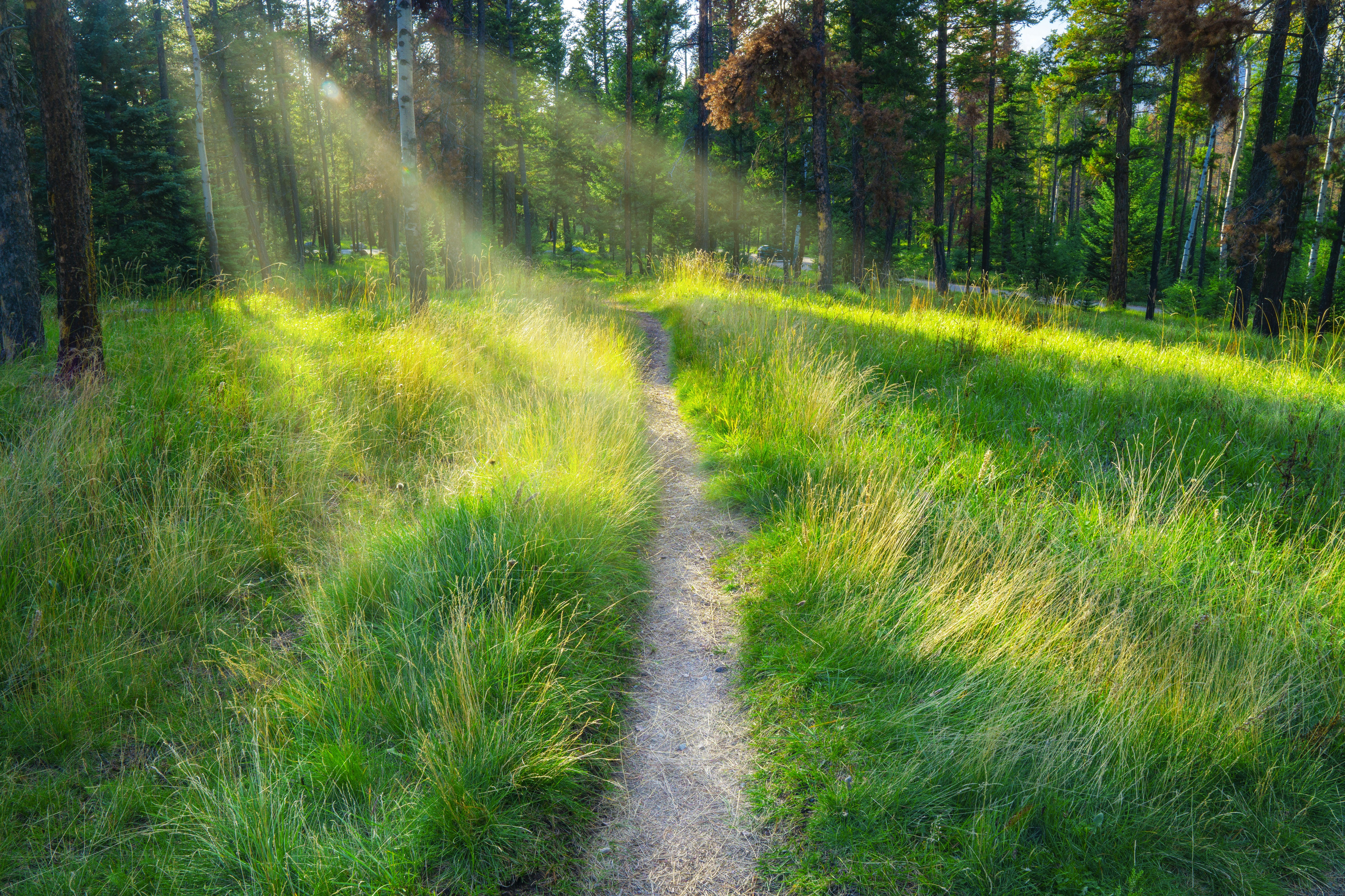 The Mindful Path: Affirmations for Spiritual Growth