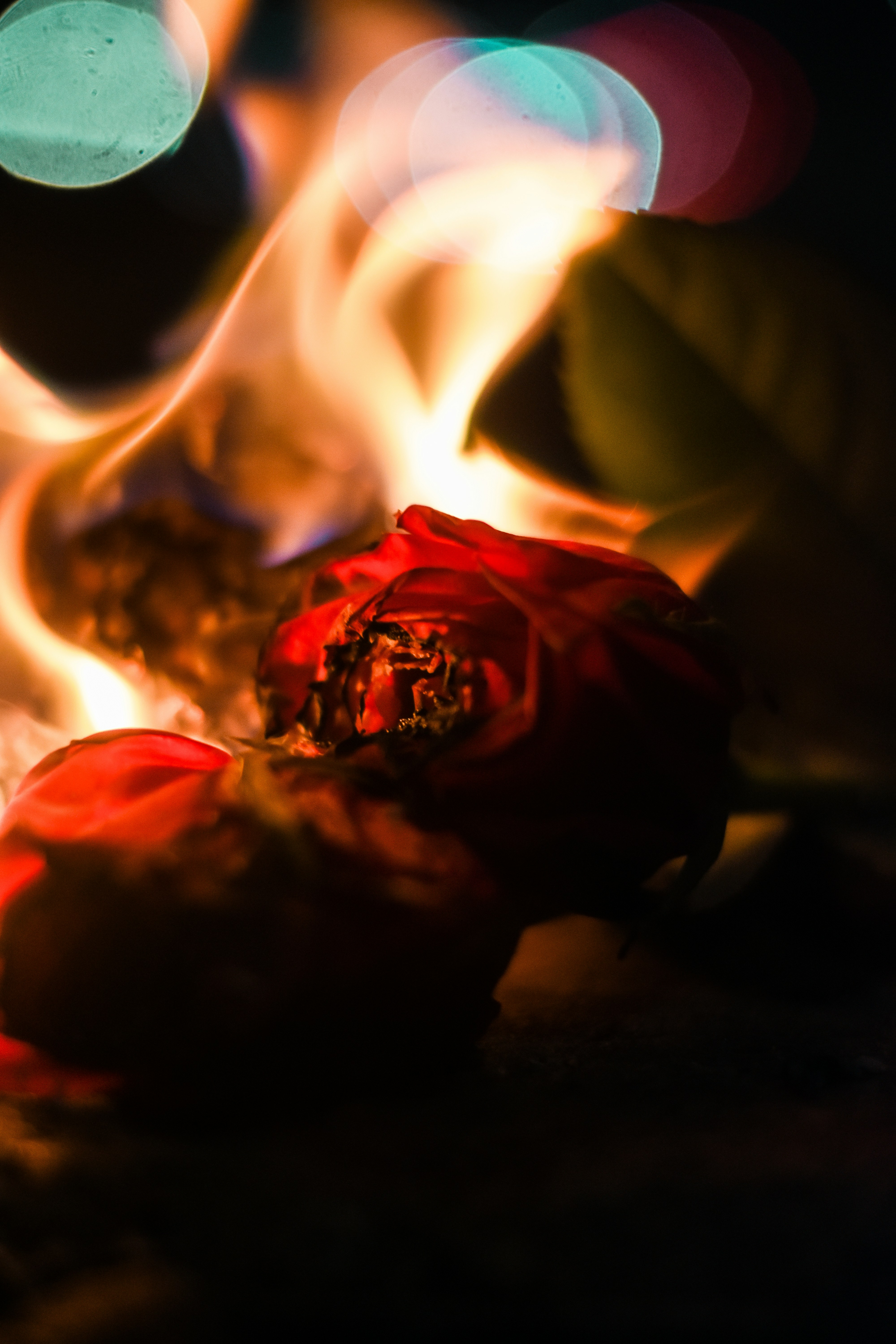 Red and yellow fire in close up photography photo – Free Fire Image on ...