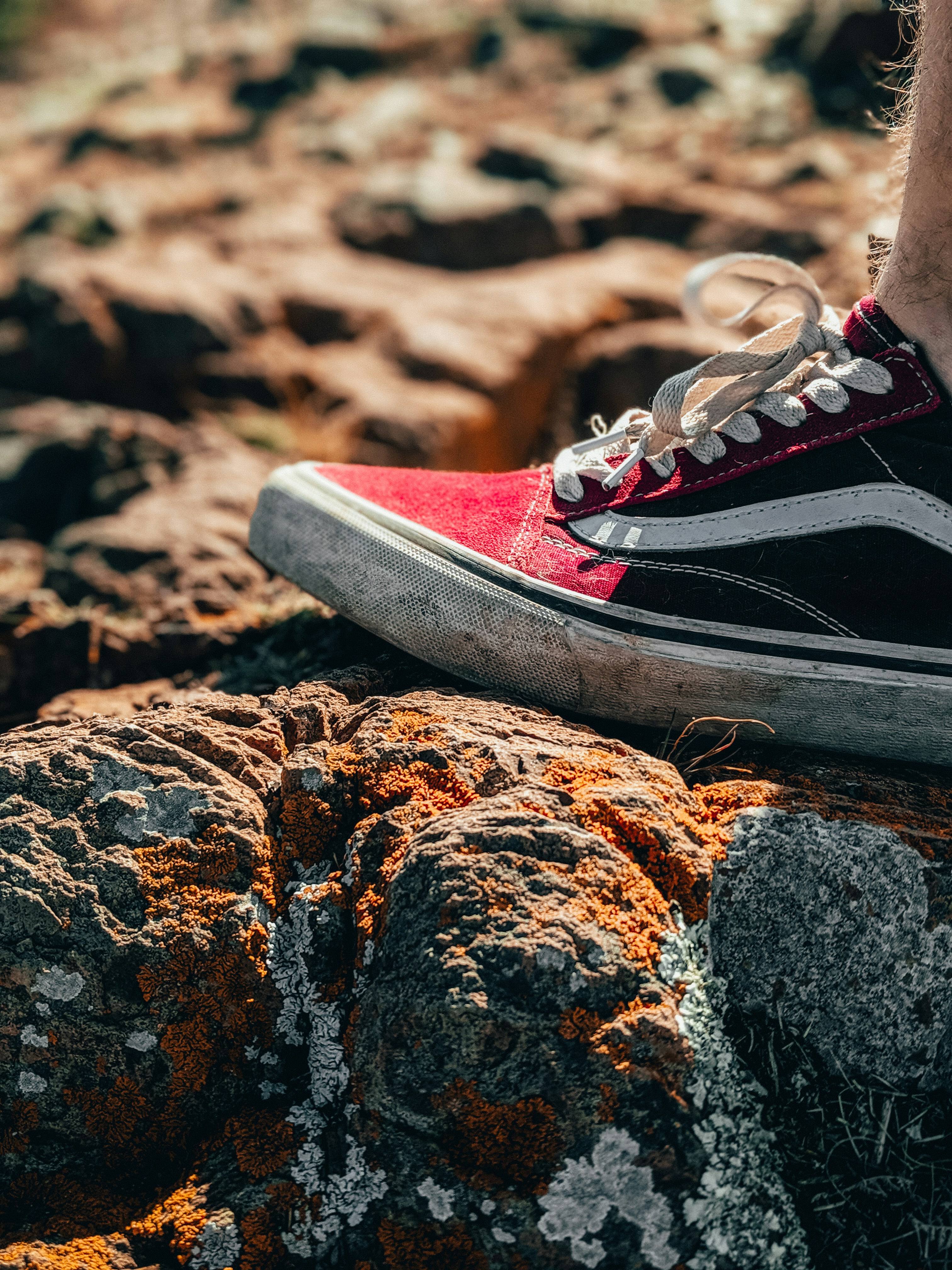 Red Sneaker Edge: A Step Across Rugged Terrain
