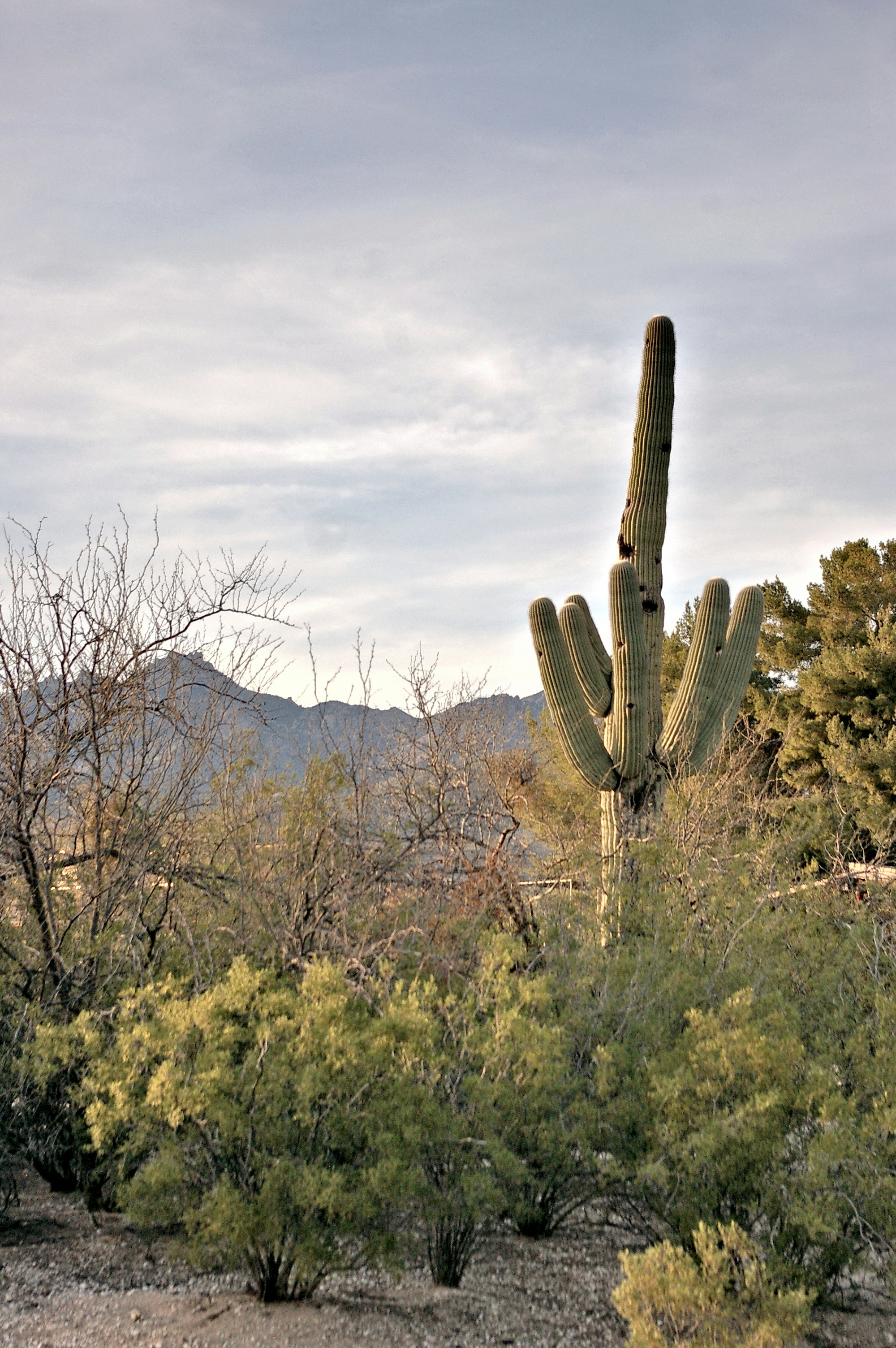 Chad Stembridge (@cstembridge) | Unsplash Photo Community