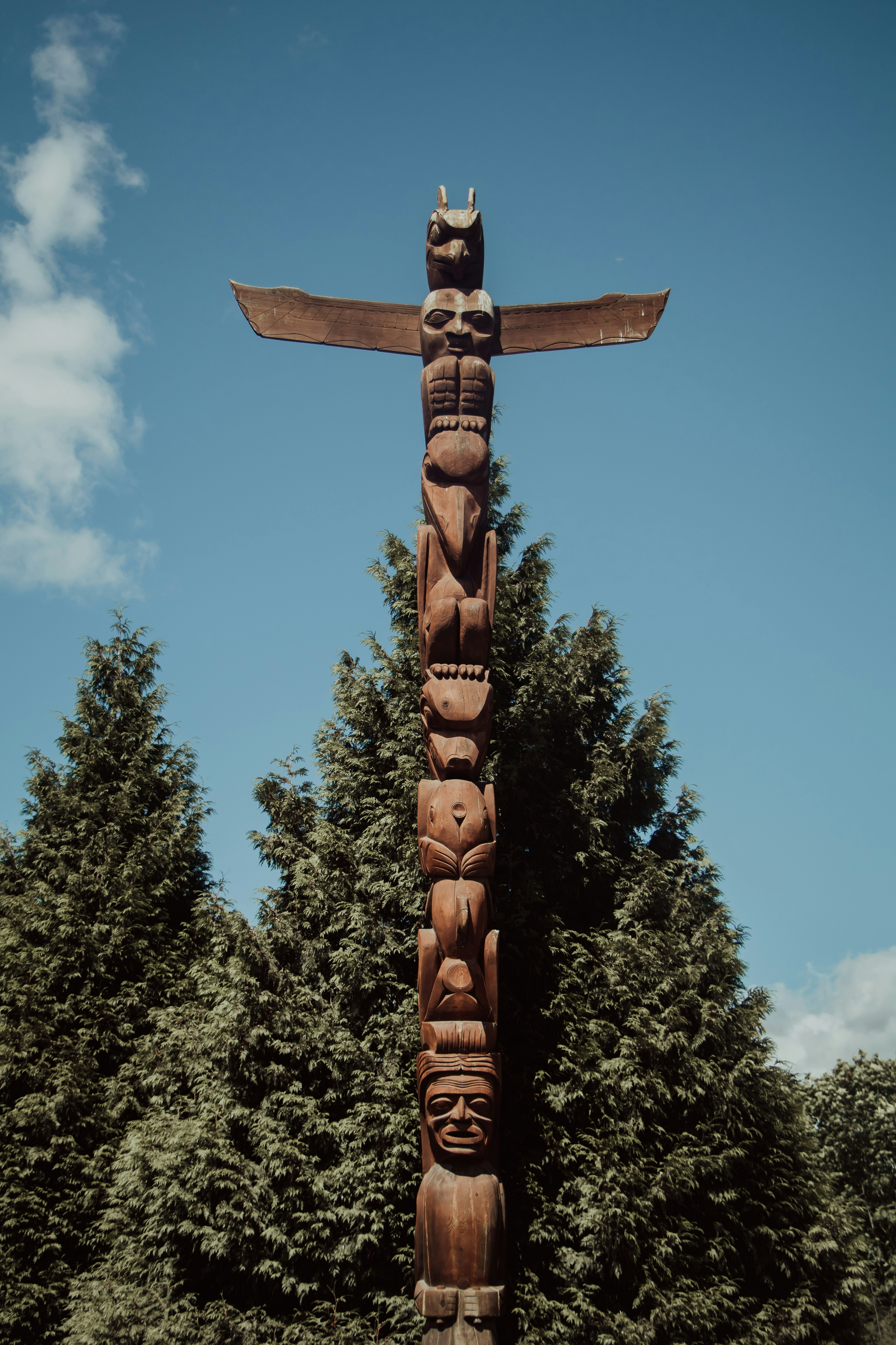 Totem Pictures | Download Free Images on Unsplash