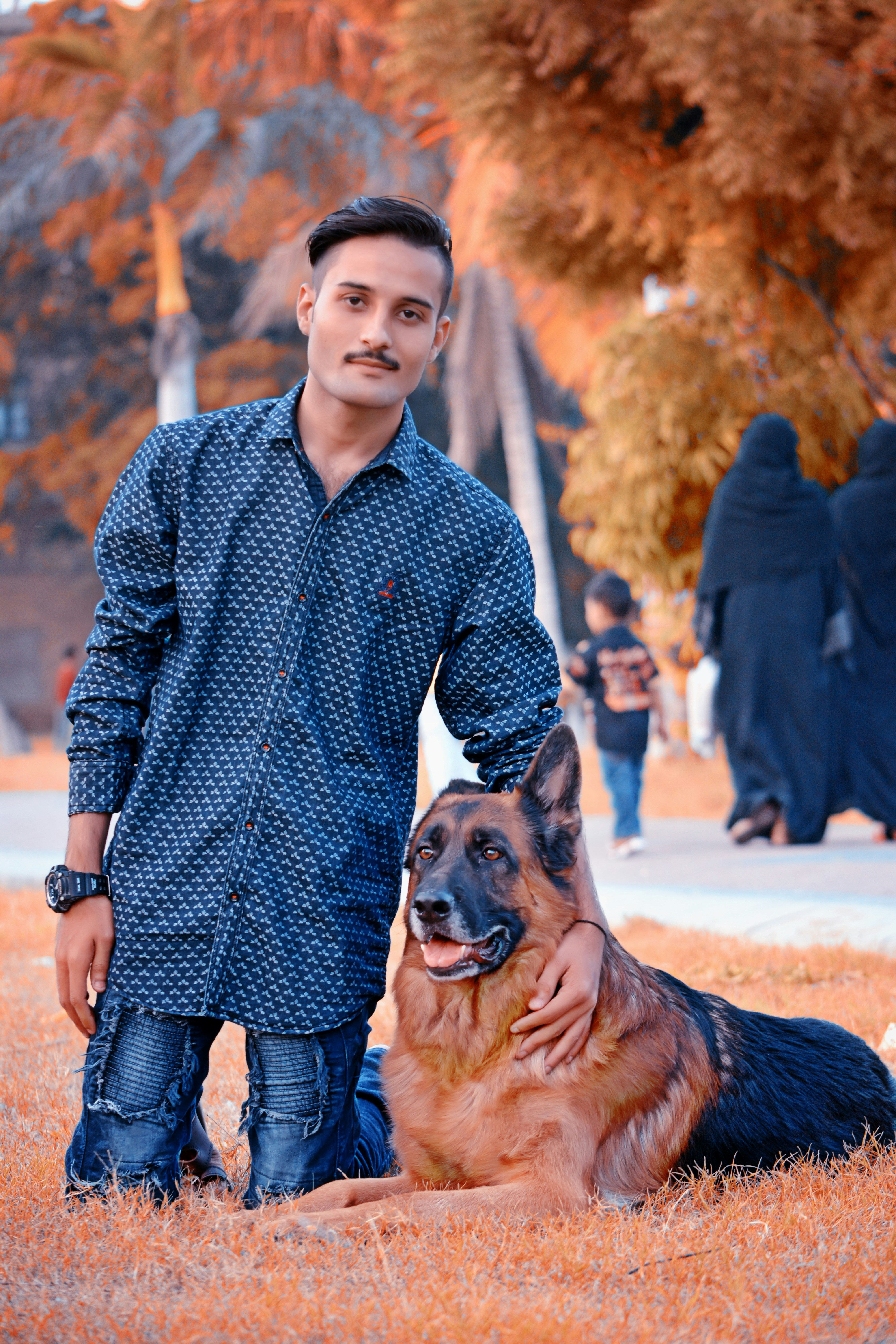Autumn Portrait: A Man and His German Shepherd Amid Burnt-Orange Foliage
