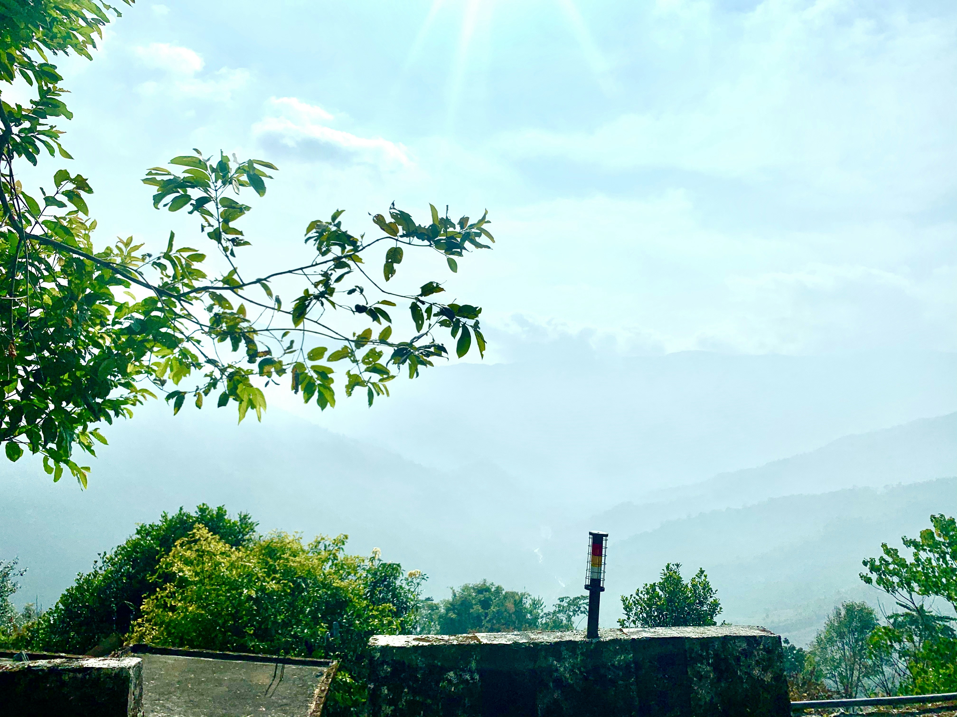 Sunlight streaming through branches over a lush, hilly landscape with a distant mountain view.