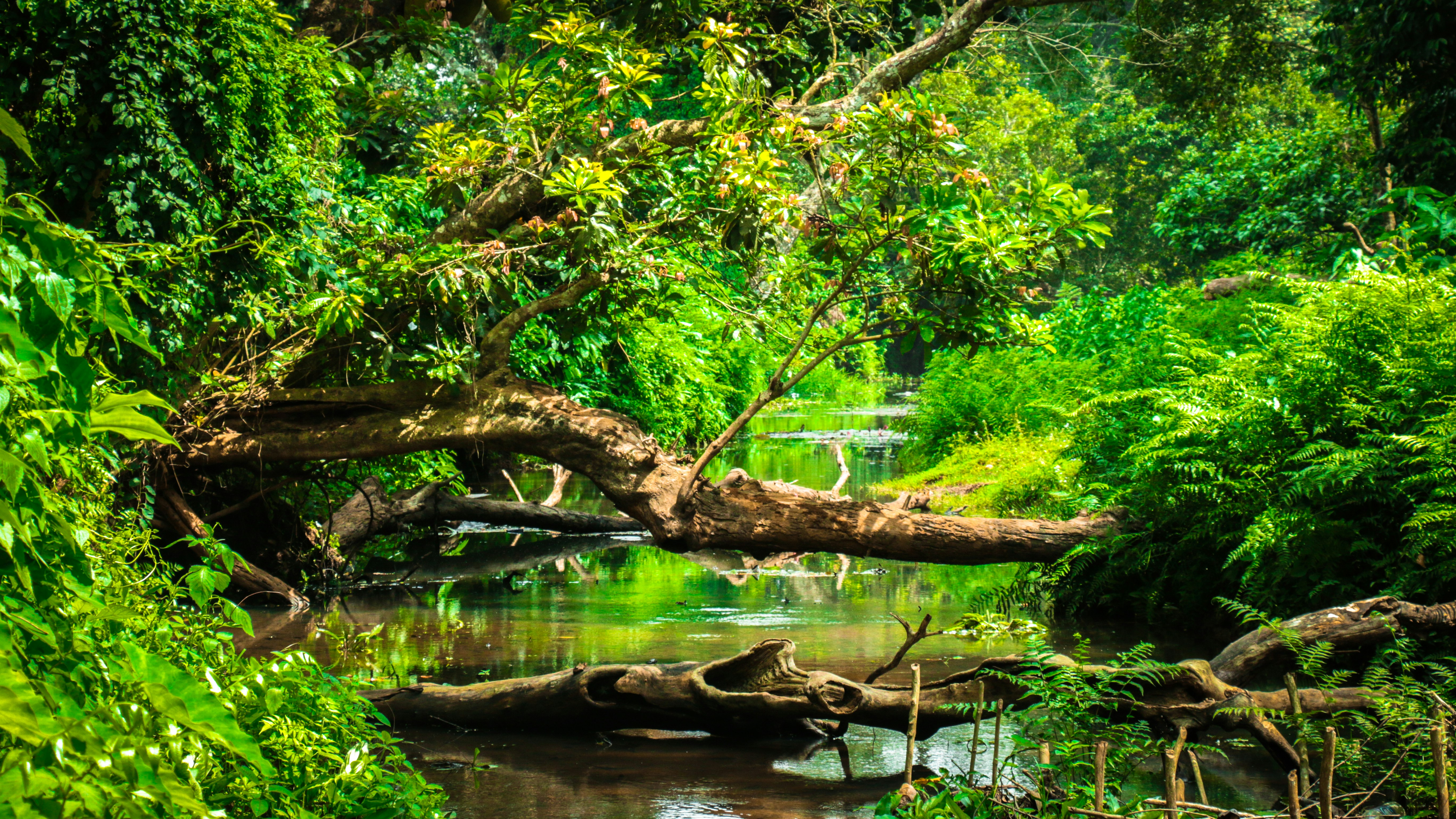 Godwin Angeline Benjo (@gabography) | Unsplash Photo Community