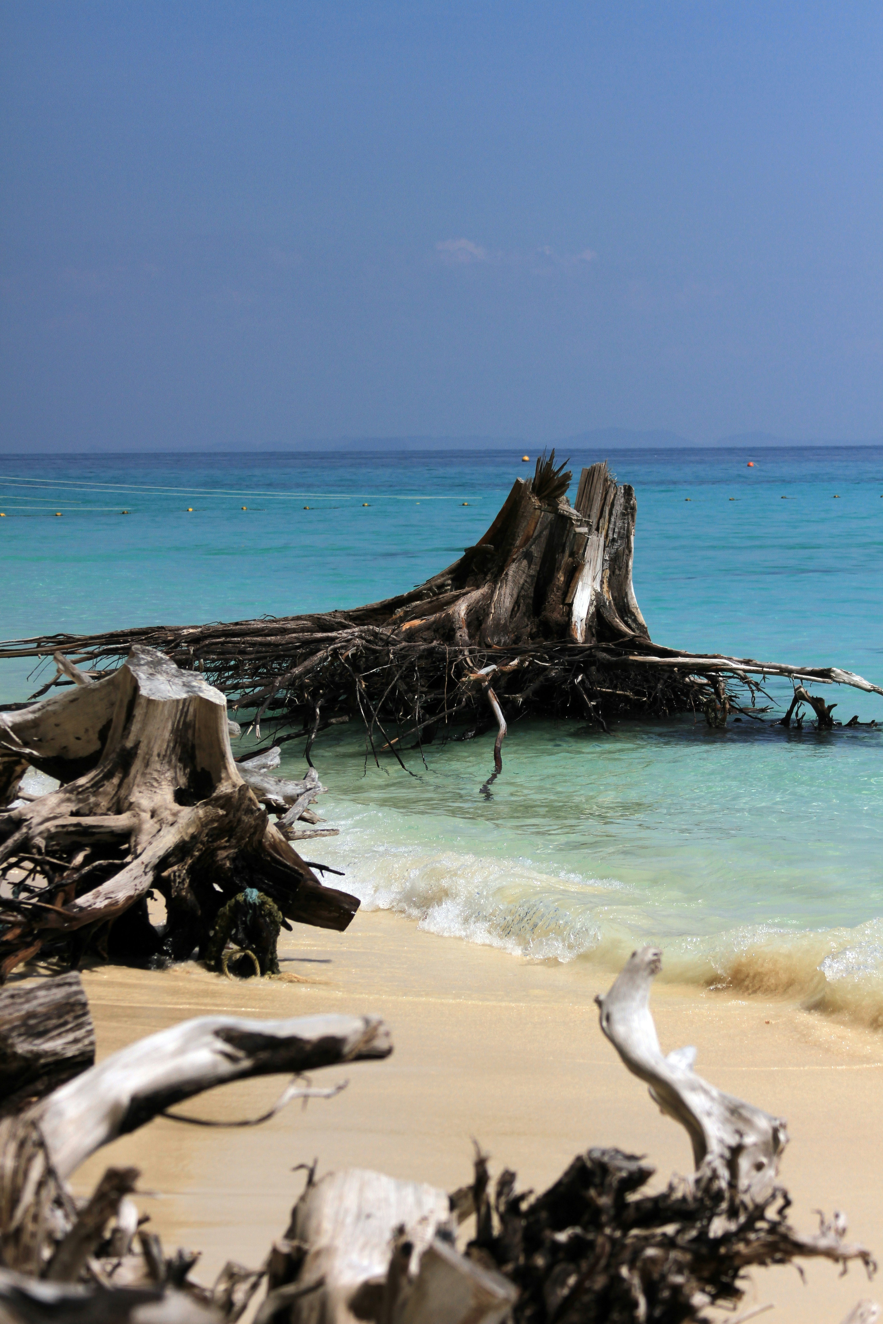 Brown wood log on beach during daytime photo – Free Thailand Image on ...