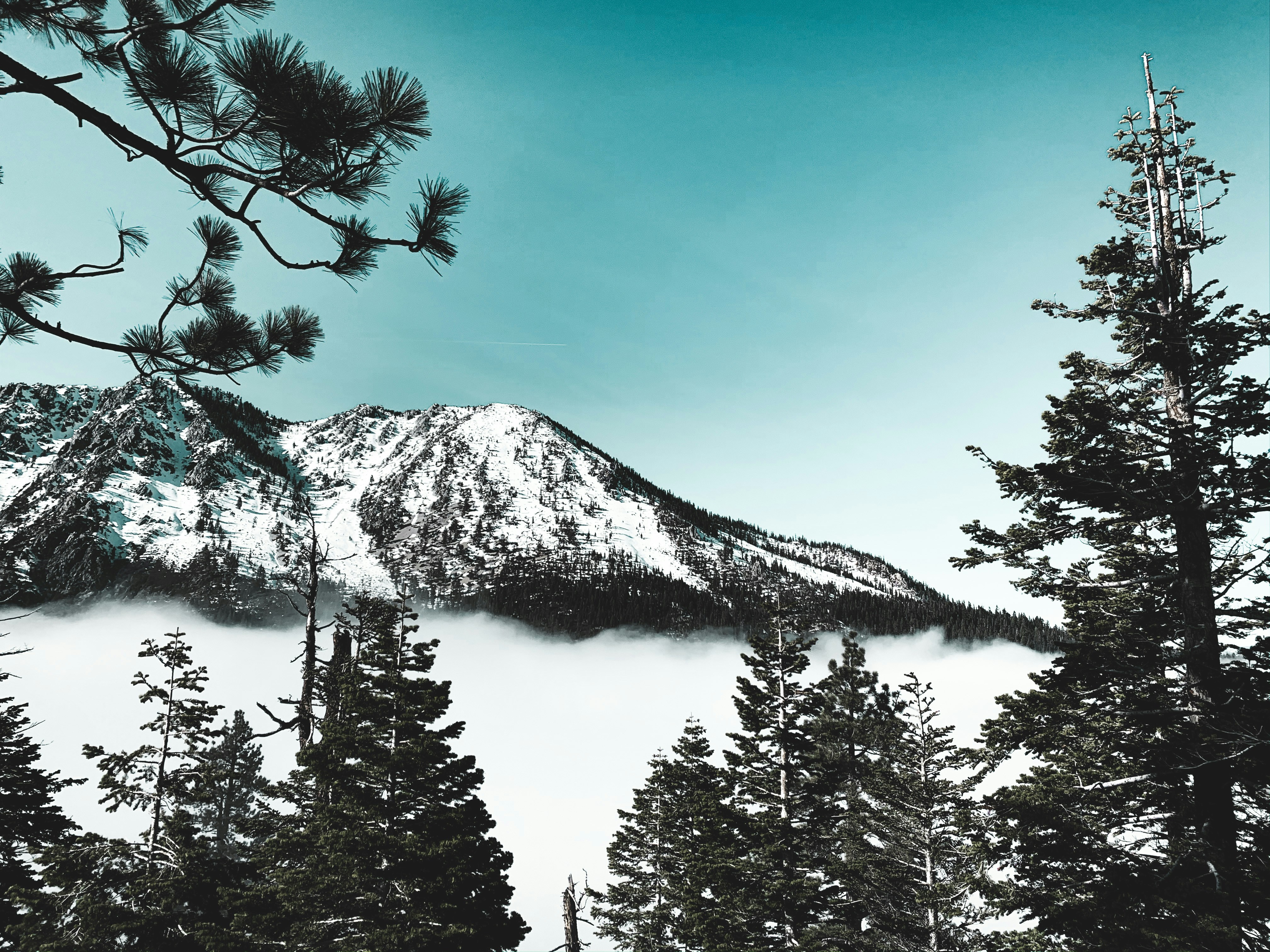 Mist-Wrapped Peak: Snow-Capped Crest Above a Quiet Forest