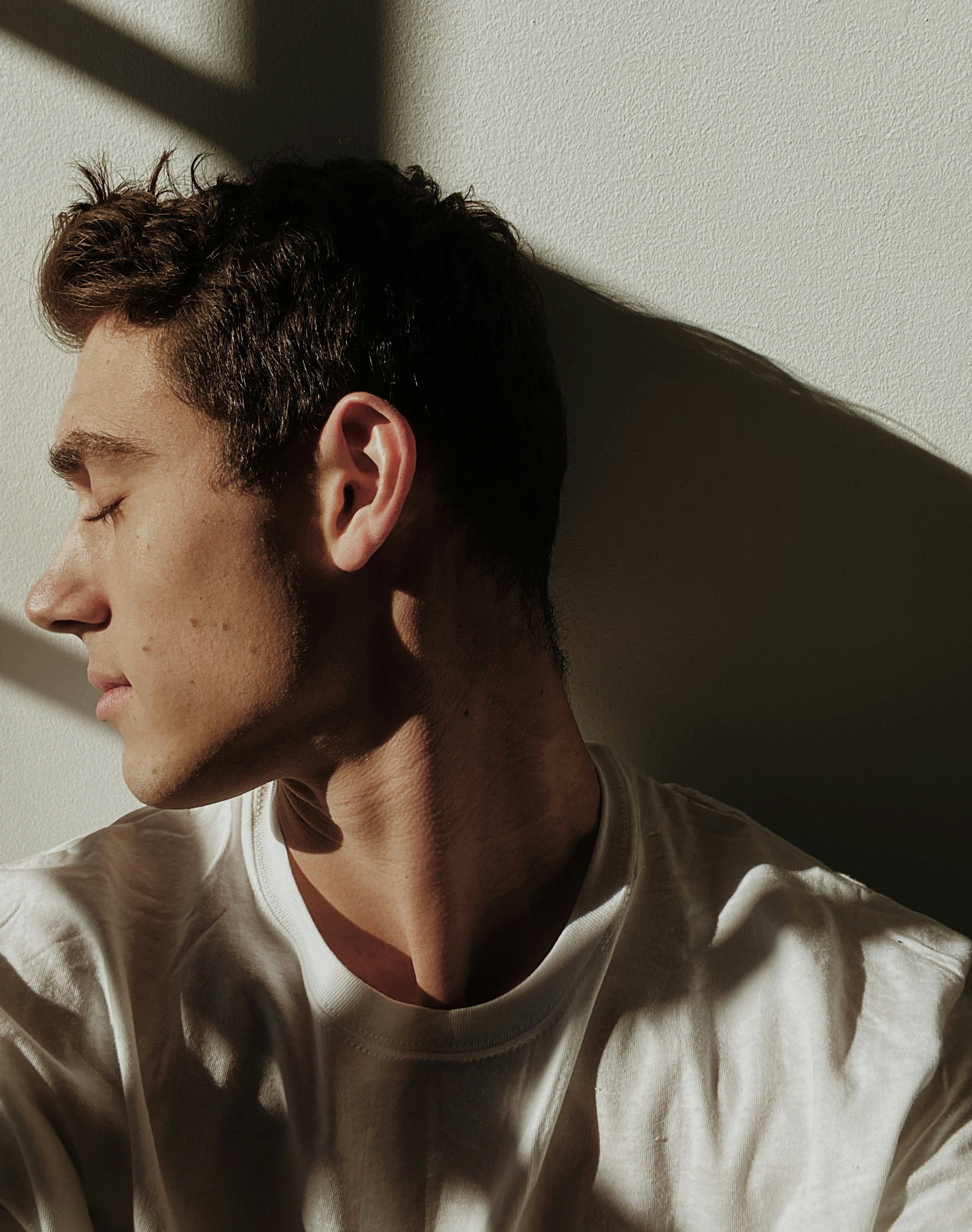 Sunlit Side Profile: Quiet Contours in Geometric Shadow