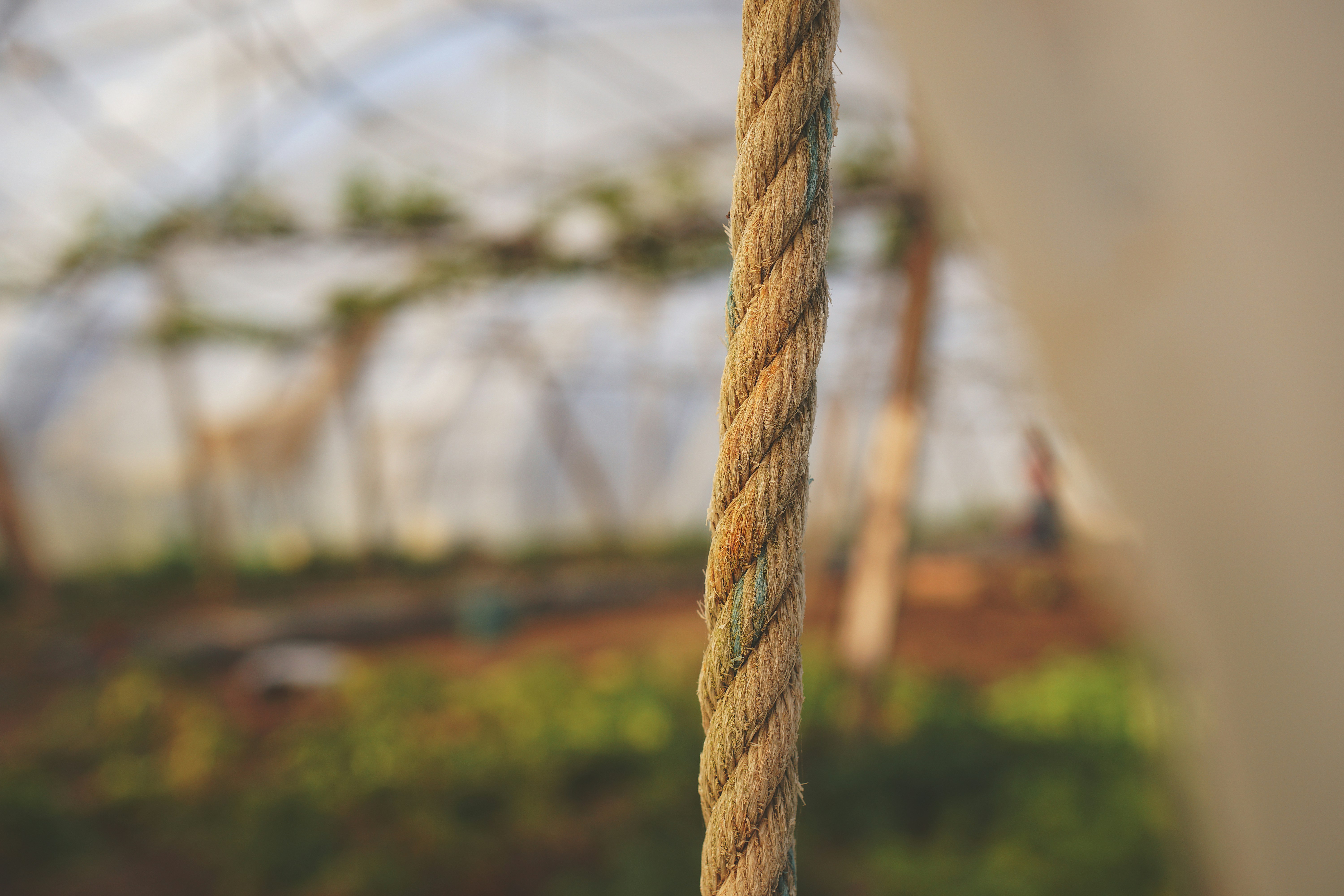 Tether in Focus: A Rope Framed by a Sunlit Greenhouse
