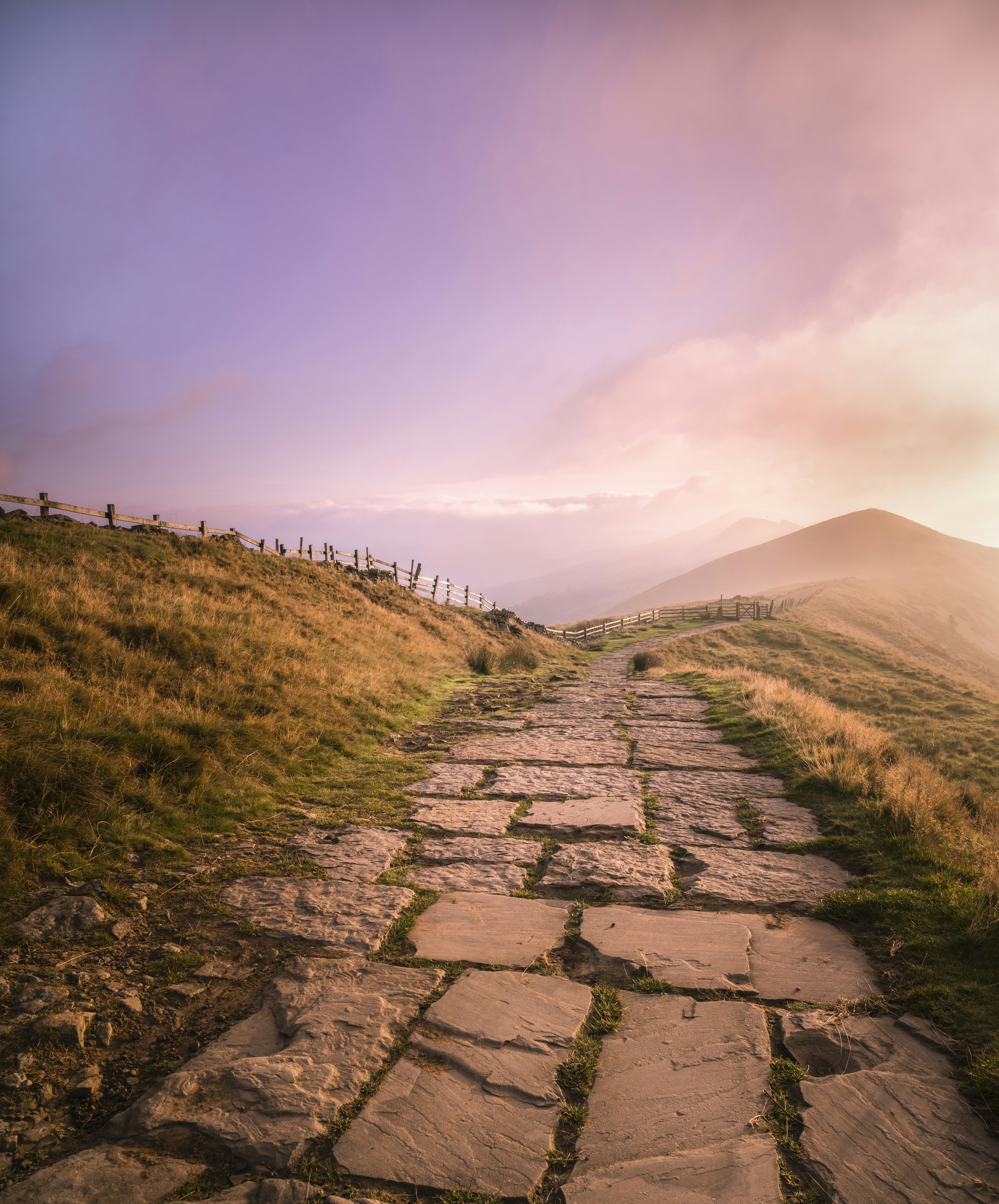 500+ Pathway Pictures | Download Free Images on Unsplash