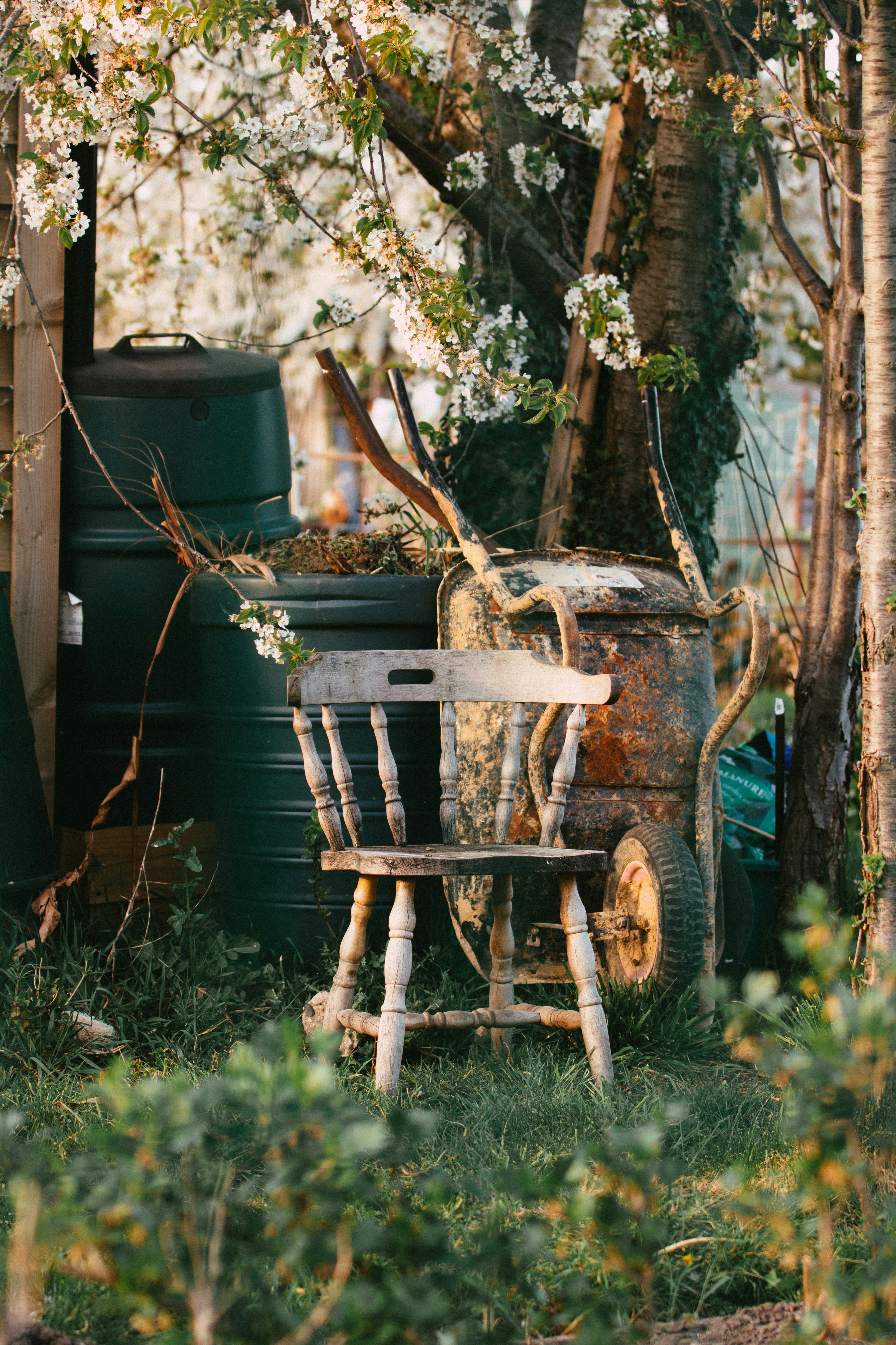 Weathered chair nestled among blooming trees and gardening tools in a tranquil garden setting.