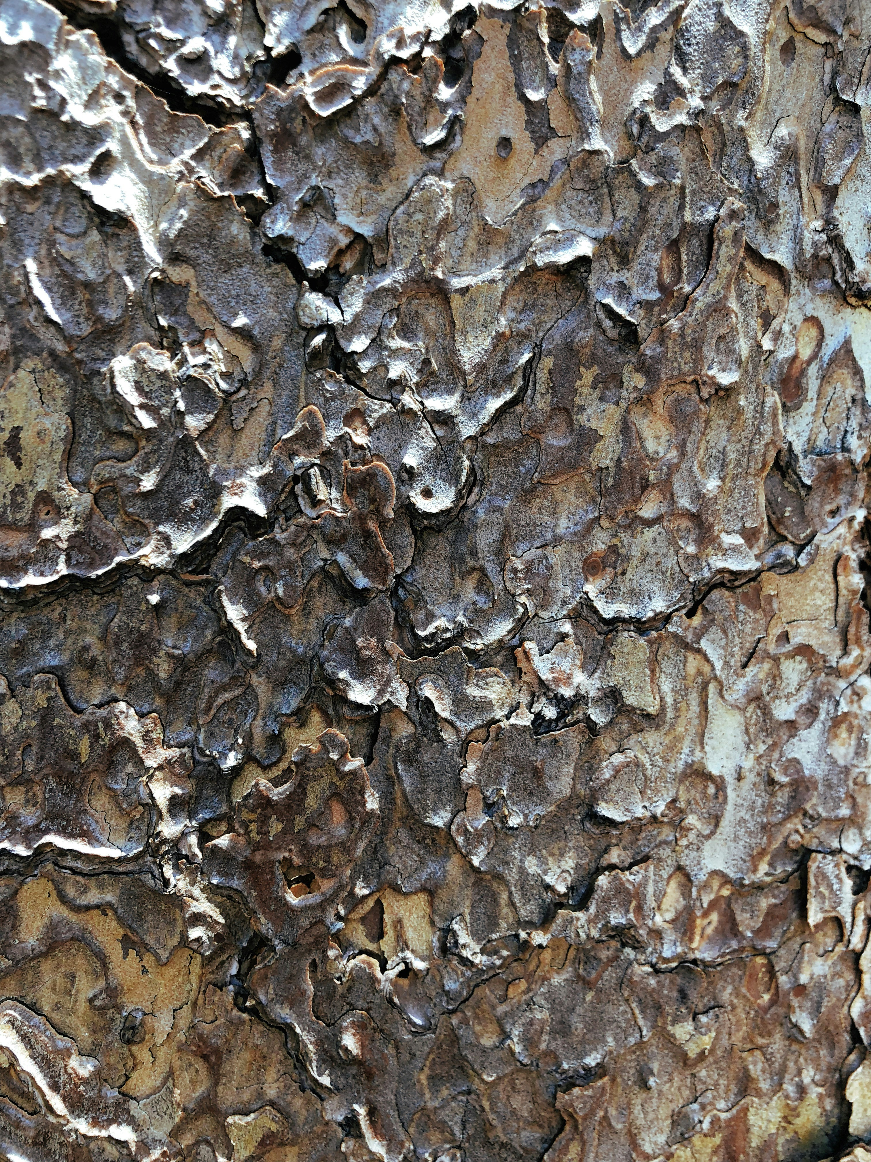 Photo by James Lee with Apple iPhone X