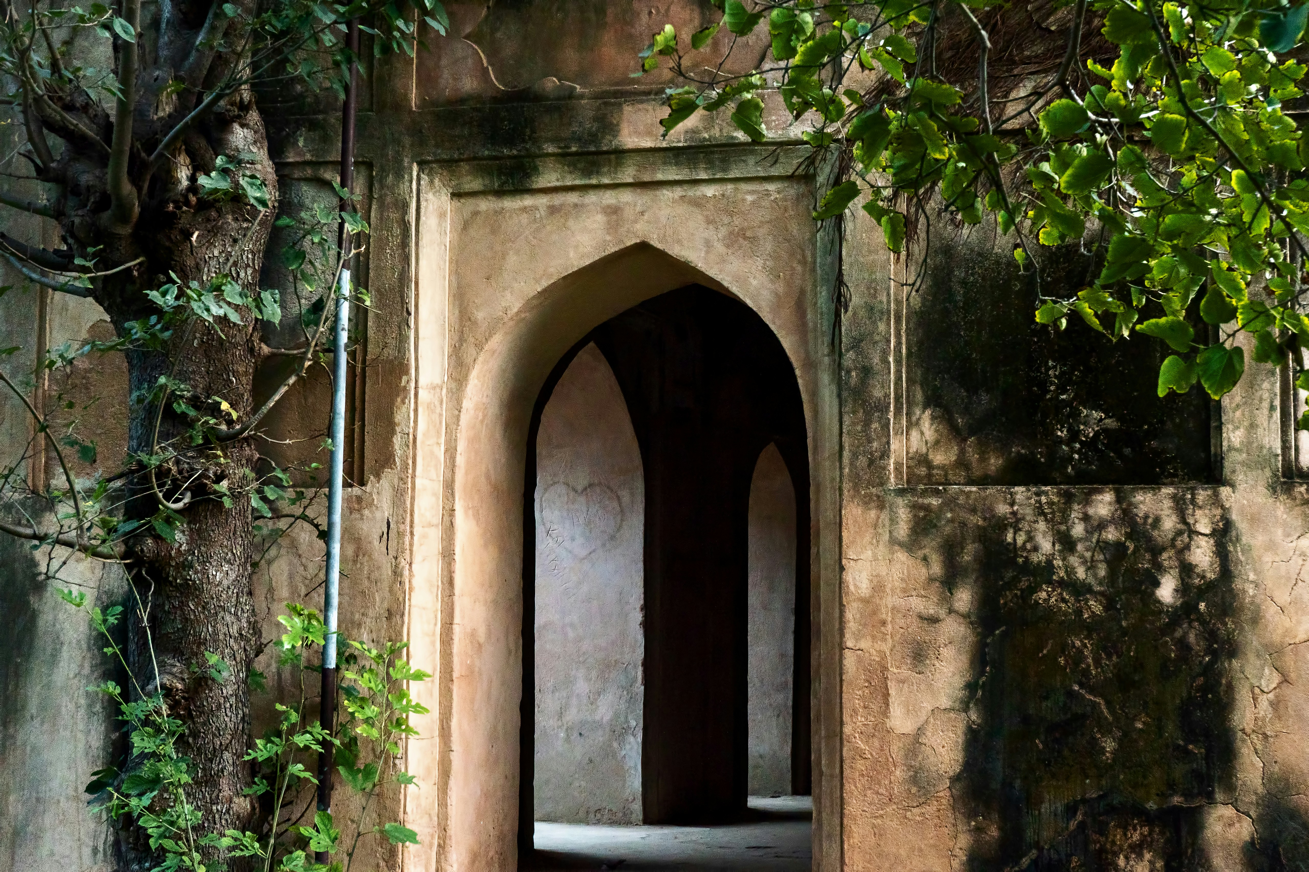 Shikhar Rastogi (@x3no_96) | Unsplash Photo Community