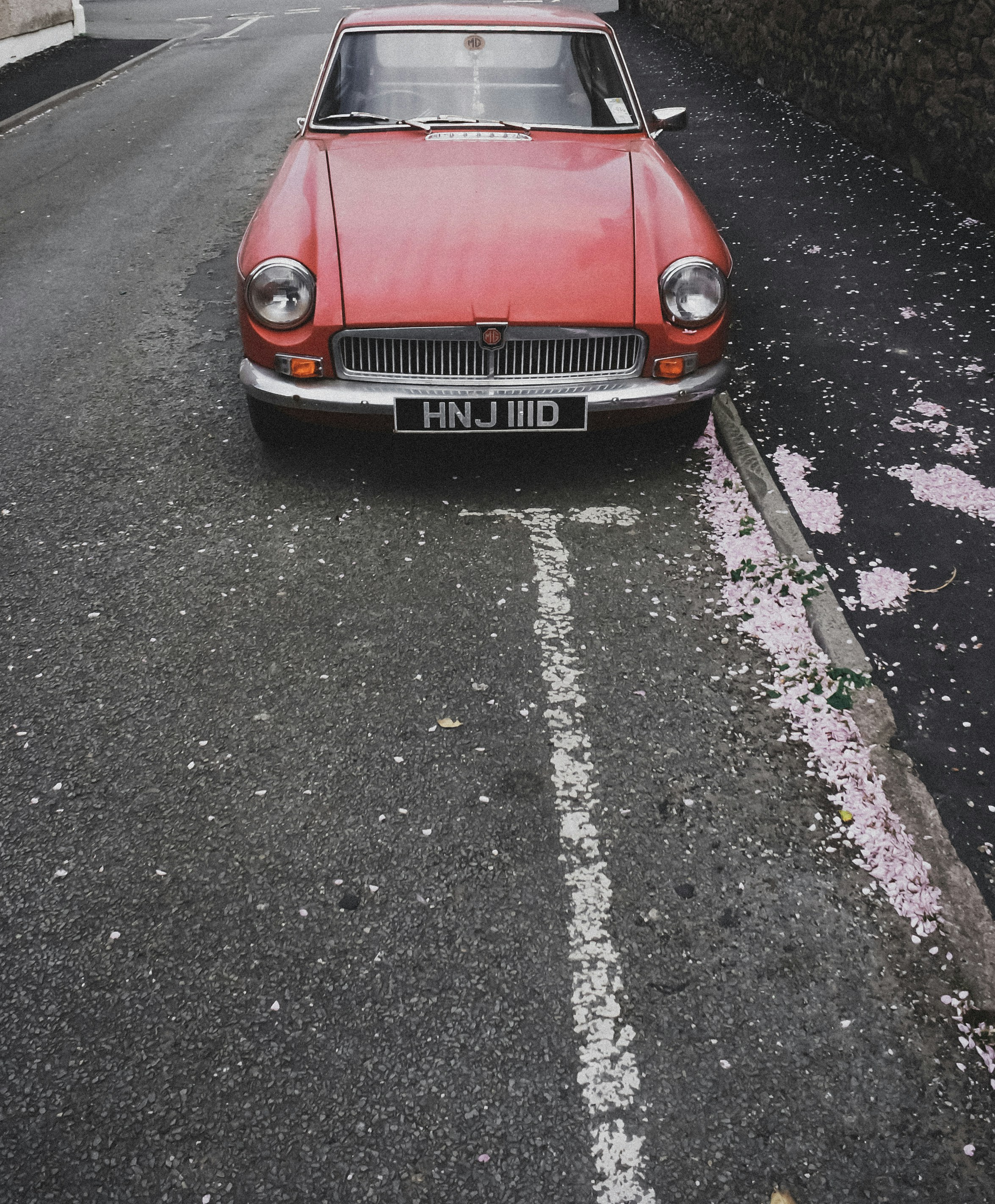 Classic red car parked on a quiet street, surrounded by fallen pink petals. The scene captures a moment of nostalgia in a tranquil setting.